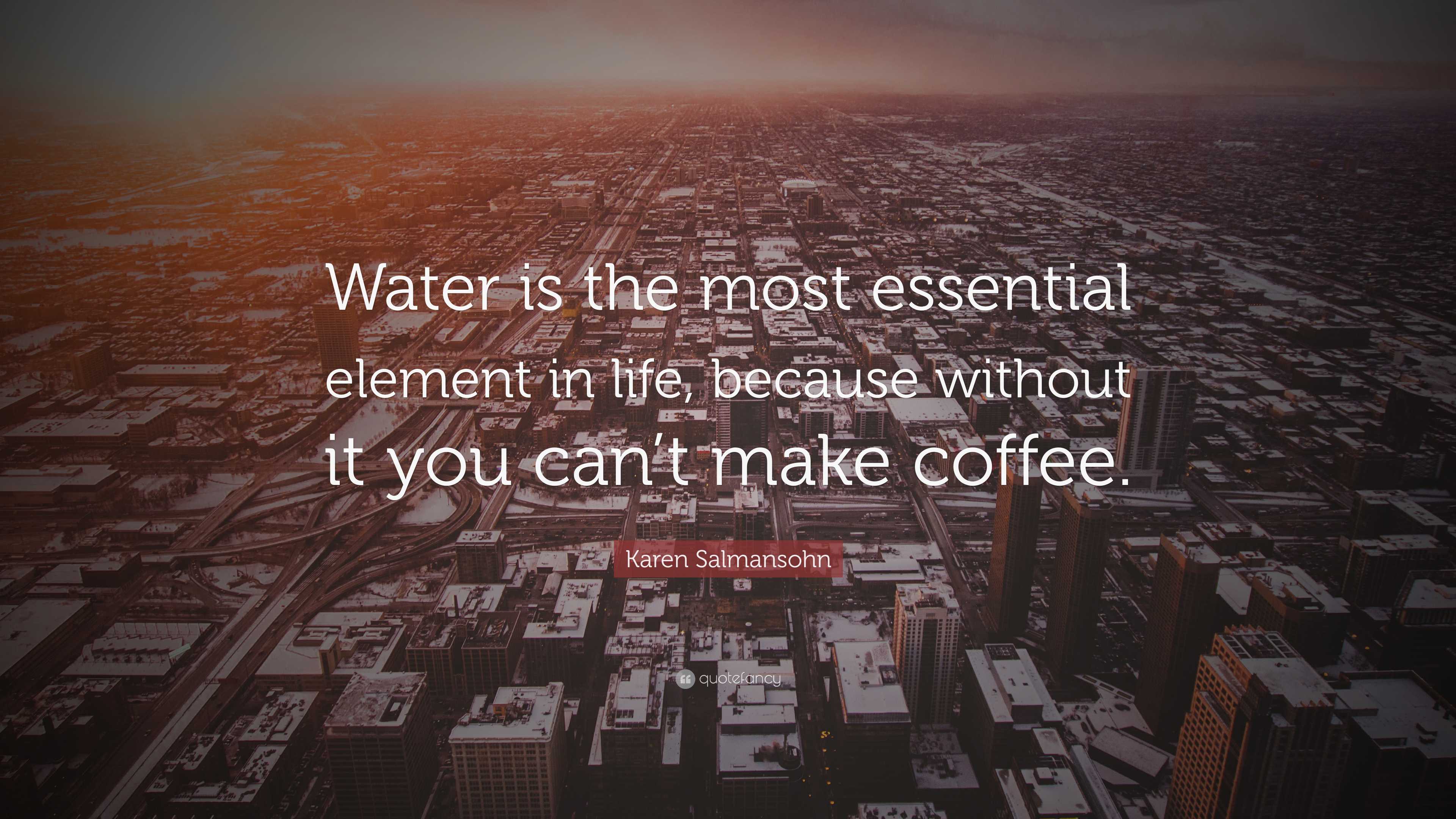 Karen Salmansohn Quote: “Water is the most essential element in life ...