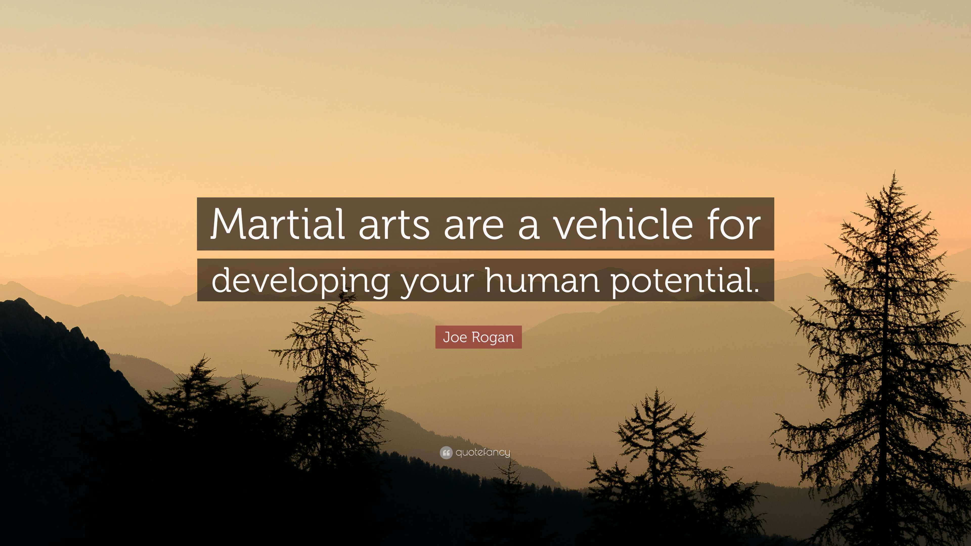 Joe Rogan Quote: “Martial arts are a vehicle for developing your human ...
