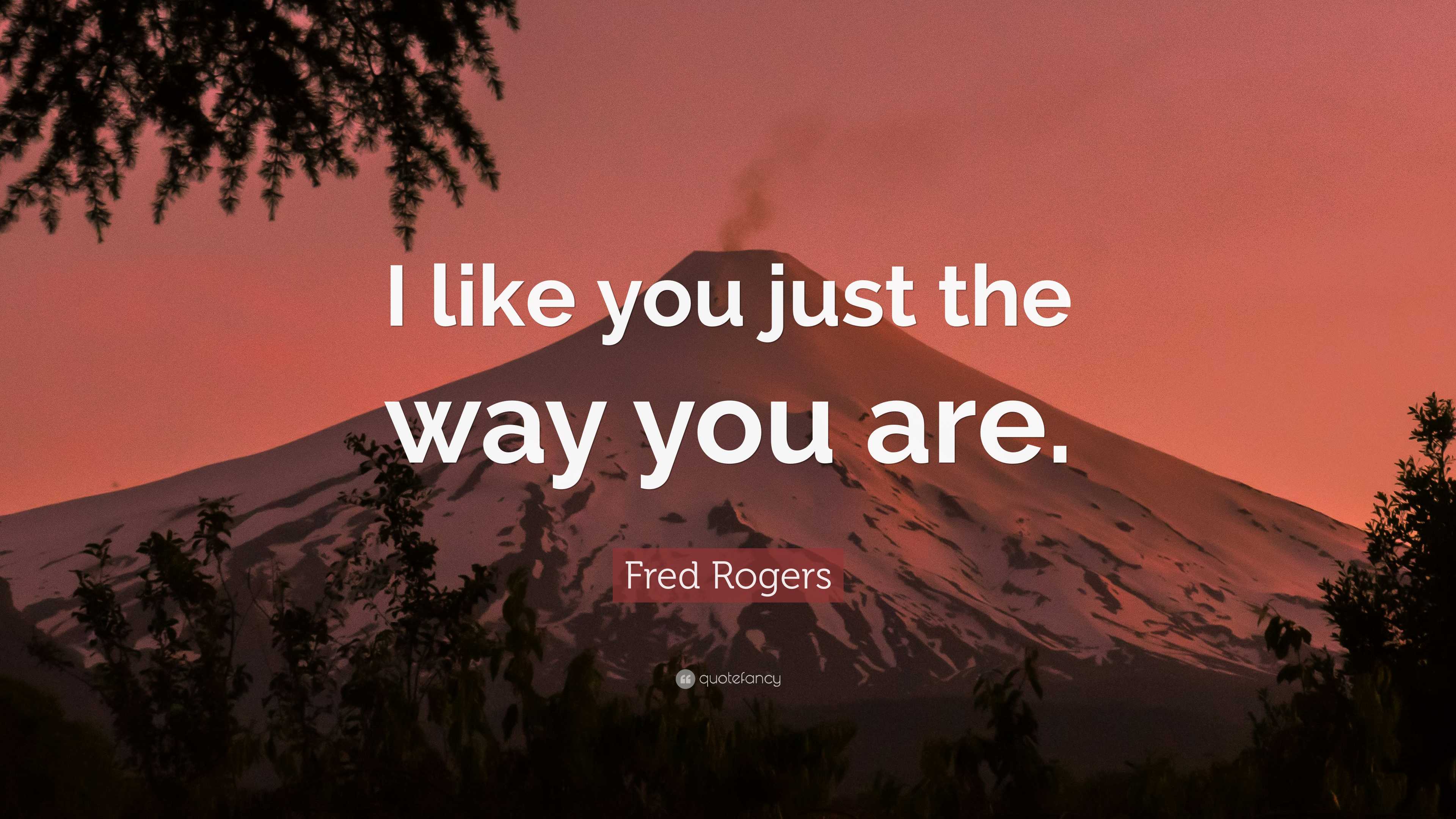 Fred Rogers Quote: “I like you just the way you are.”
