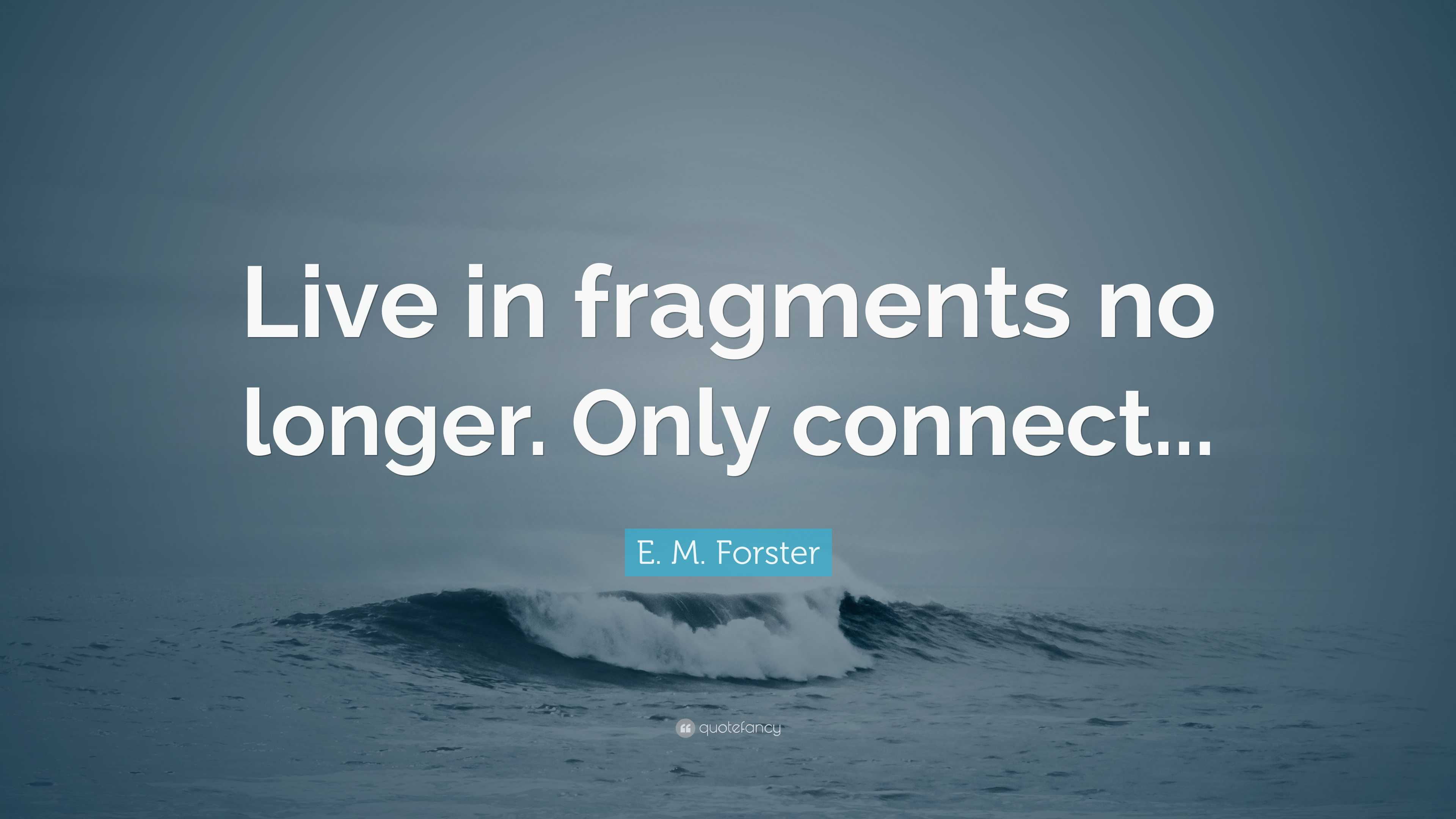 E. M. Forster Quote: “Live in fragments no longer. Only connect...”