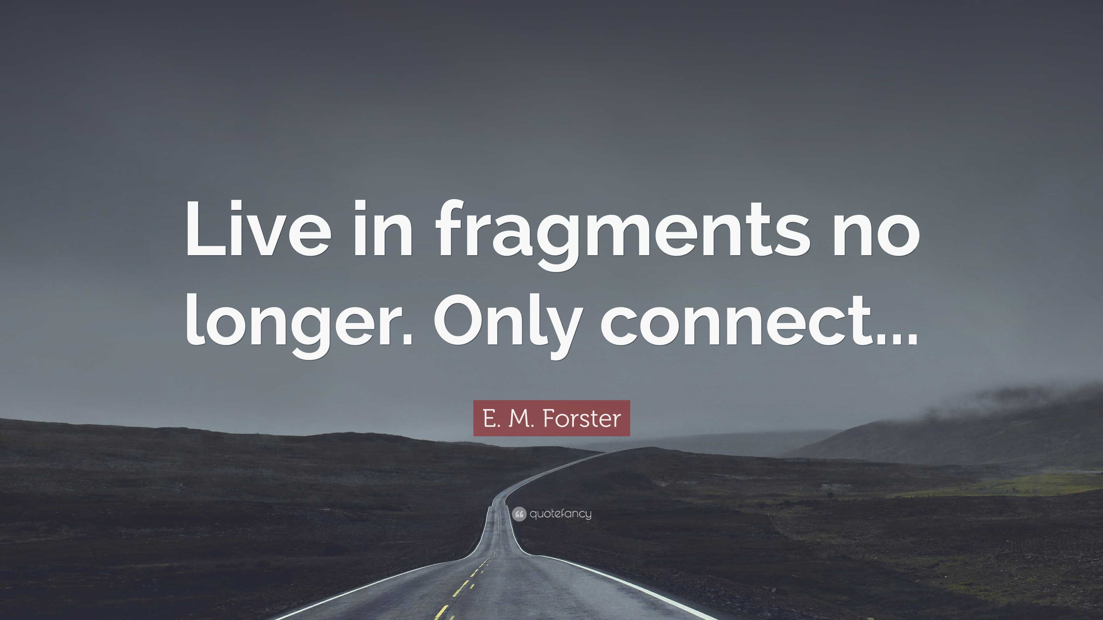 E. M. Forster Quote: “Live in fragments no longer. Only connect...”
