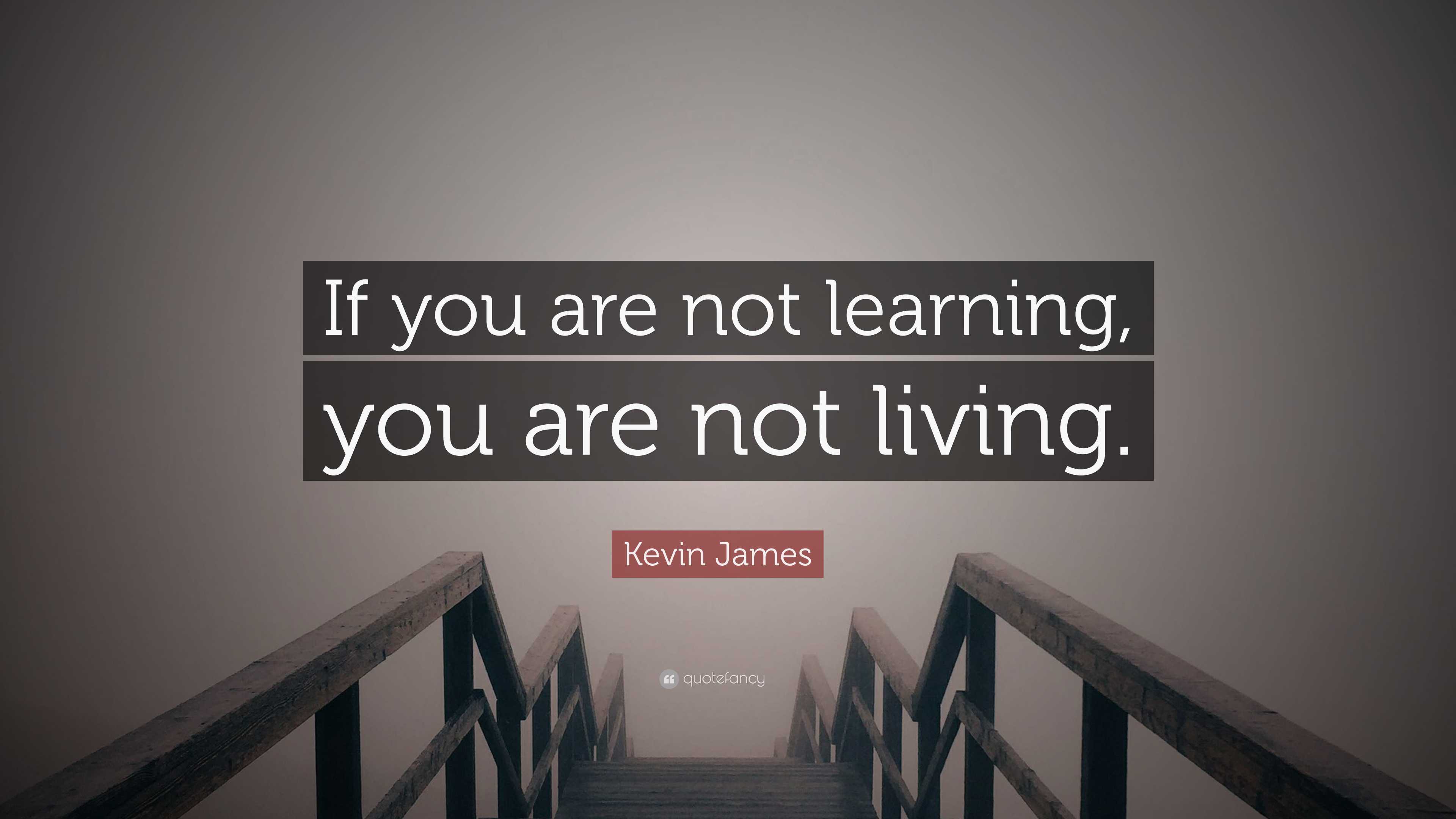 Kevin James Quote: “If you are not learning, you are not living.”