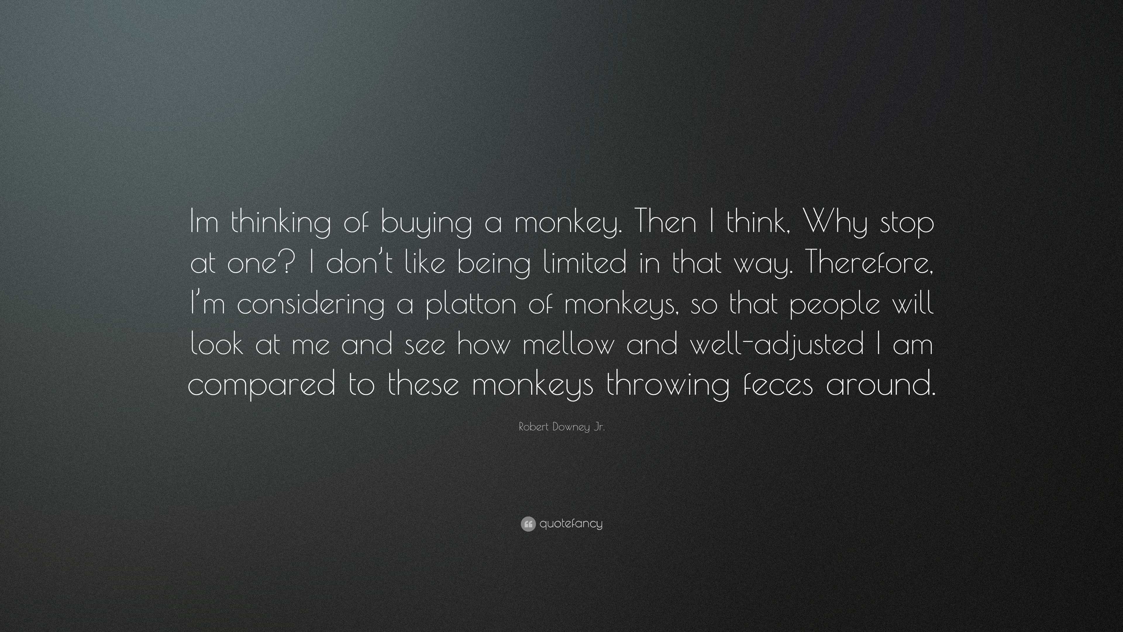 Robert Downey Jr. Quote: “Im thinking of buying a monkey. Then I think ...