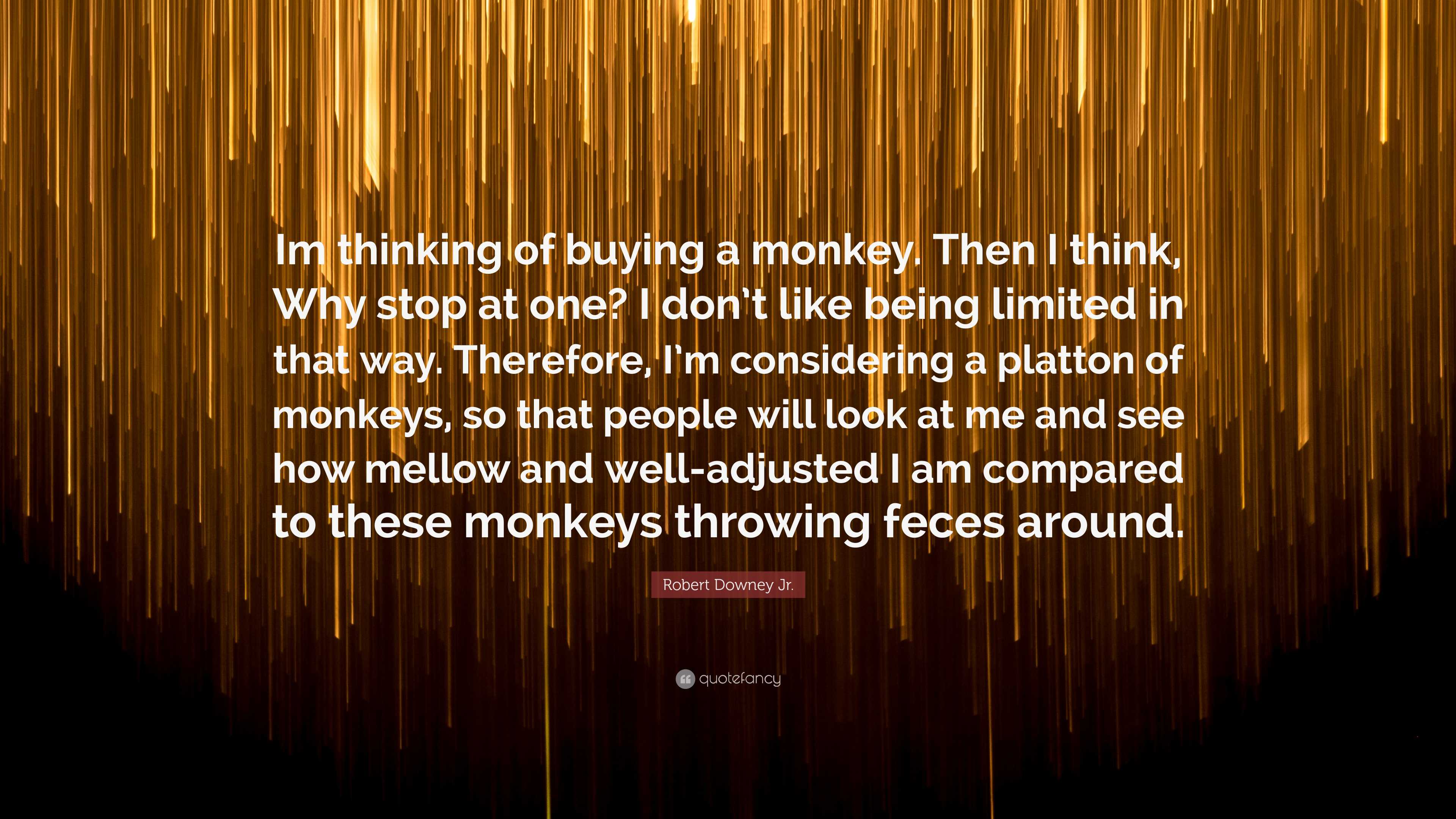 Robert Downey Jr. Quote: “Im thinking of buying a monkey. Then I think ...