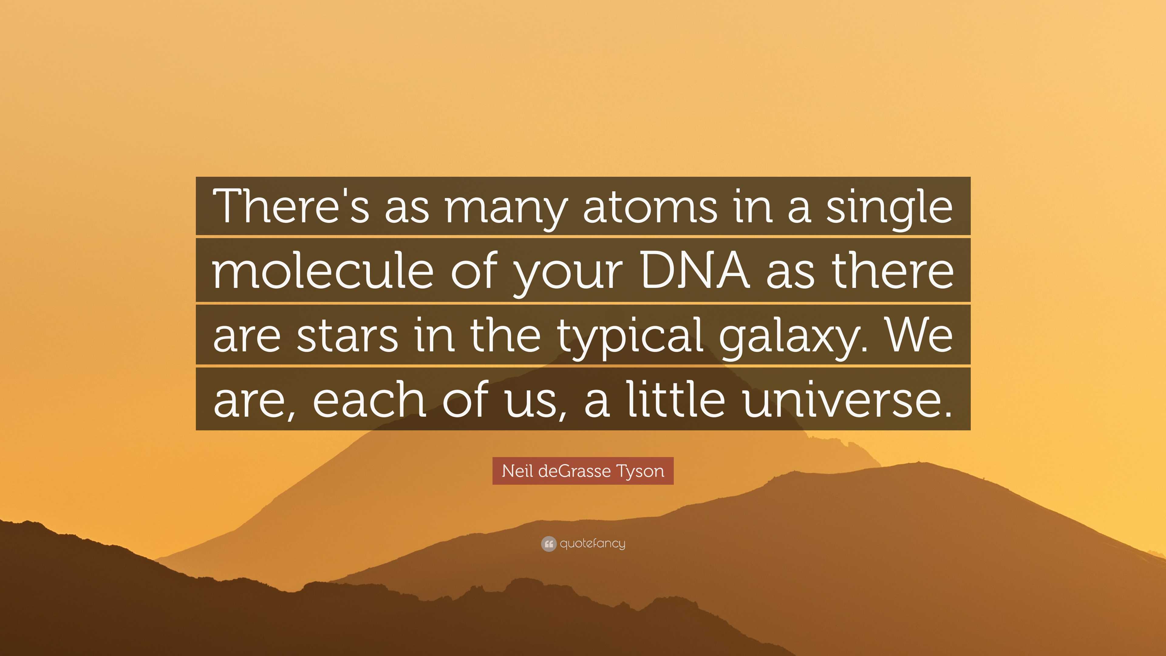 Neil deGrasse Tyson Quote: “There's as many atoms in a single molecule ...