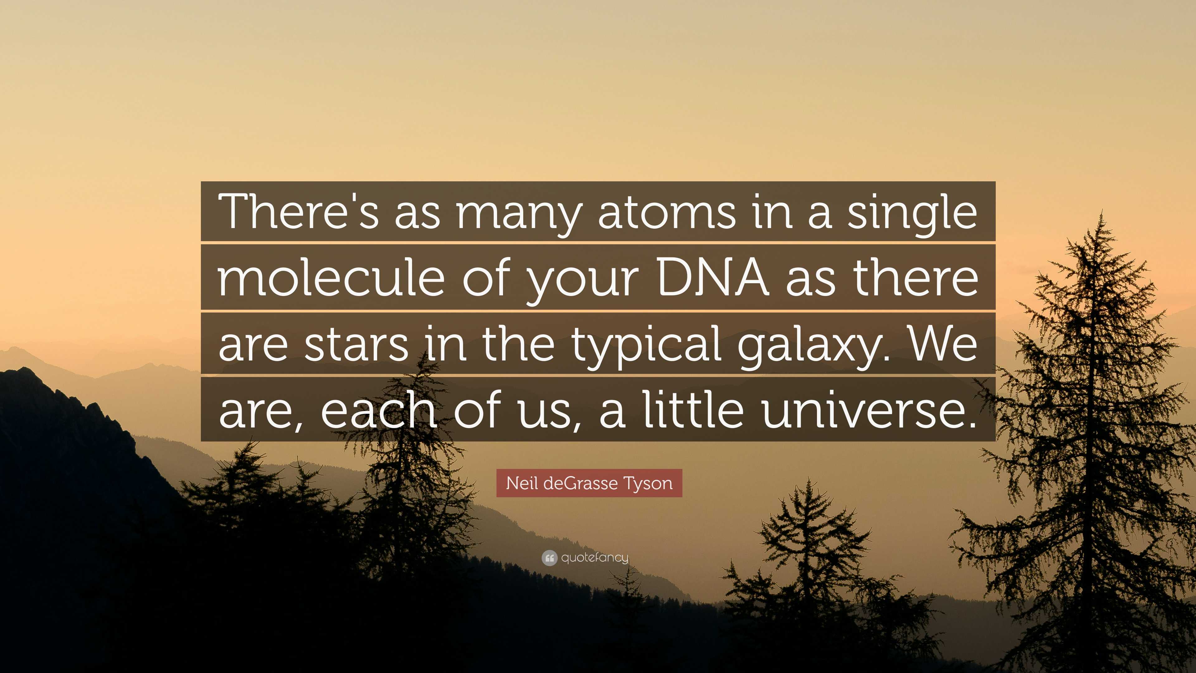 Neil deGrasse Tyson Quote: “There's as many atoms in a single molecule ...