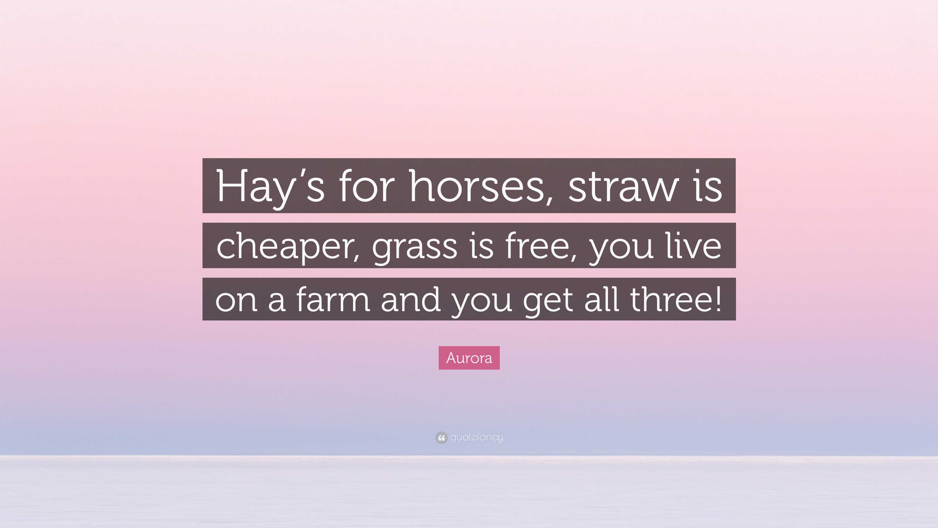 Aurora Quote: “Hay’s for horses, straw is cheaper, grass is free, you ...