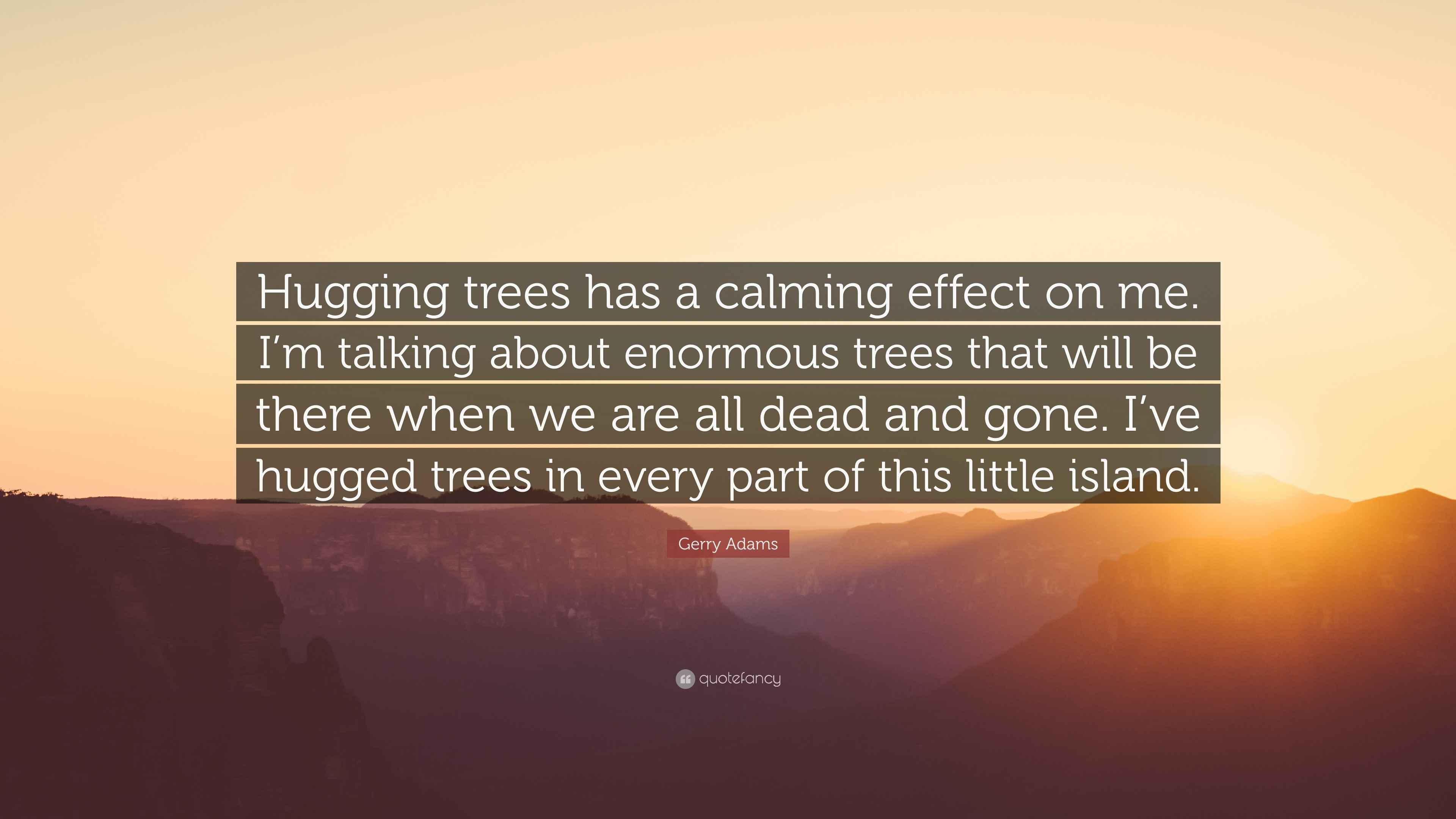 Gerry Adams Quote: “Hugging trees has a calming effect on me. I’m ...
