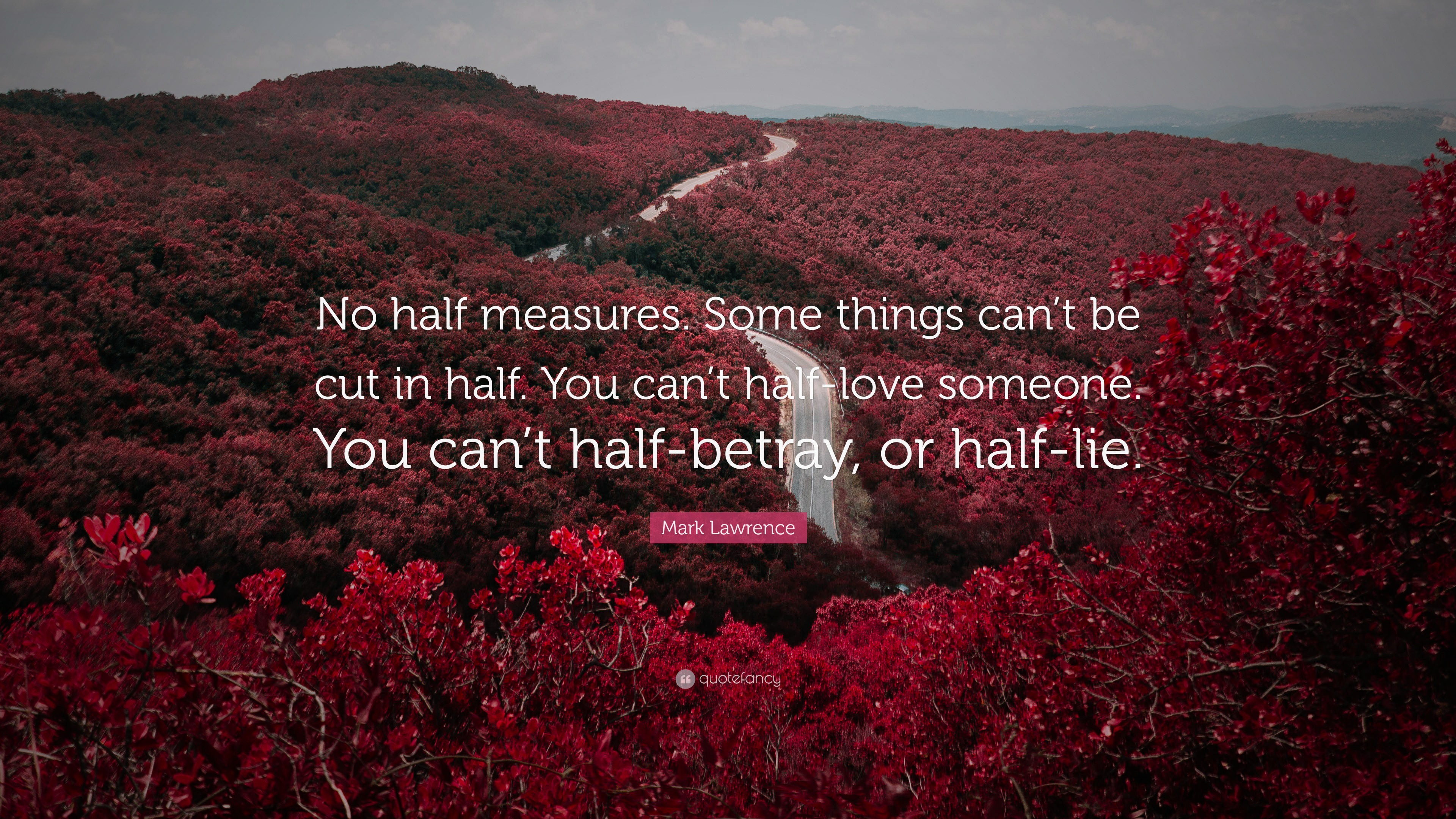 Mark Lawrence Quote: “No half measures. Some things can’t be cut in ...