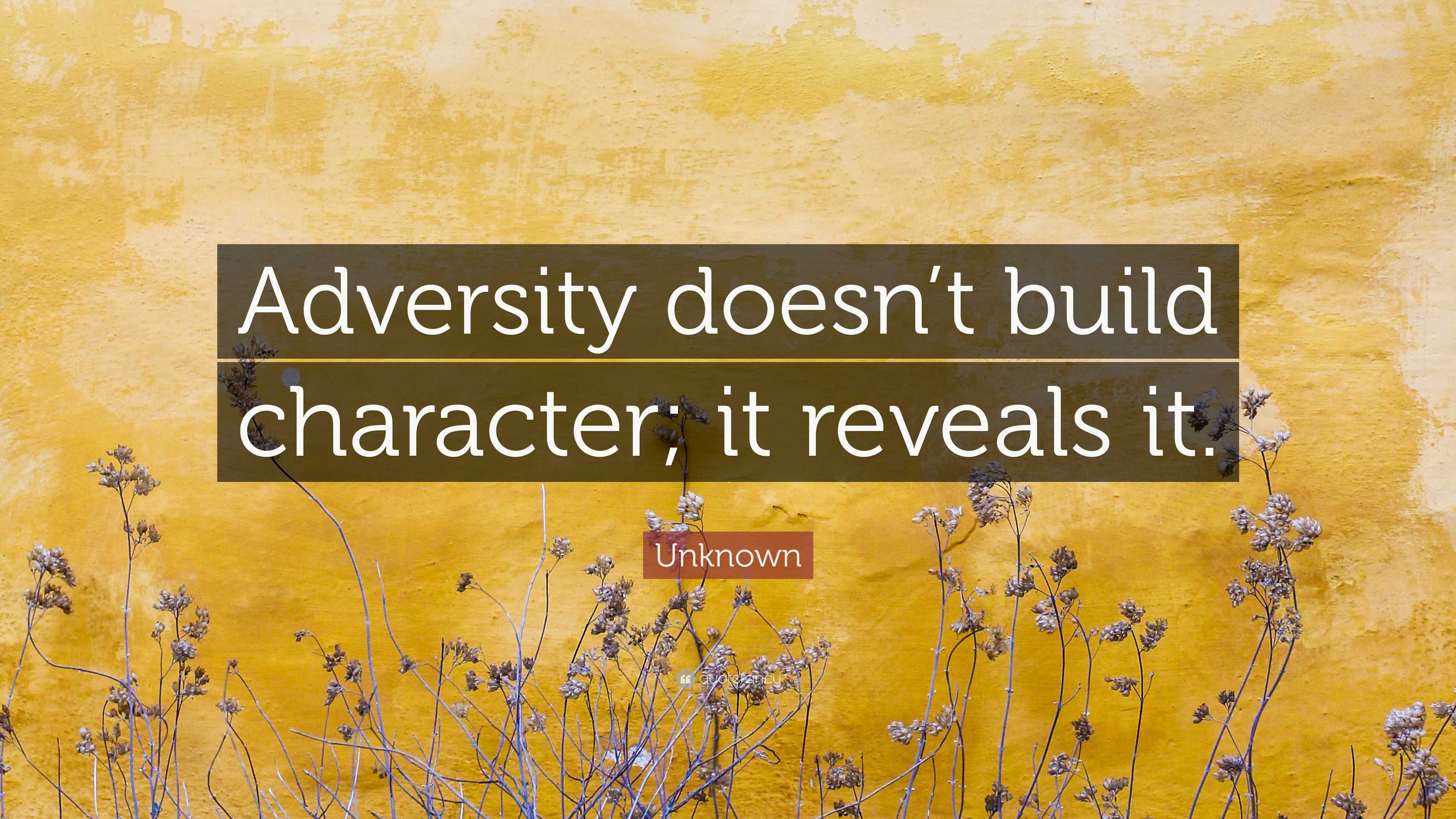 Unknown Quote: “Adversity doesn’t build character; it reveals it.”