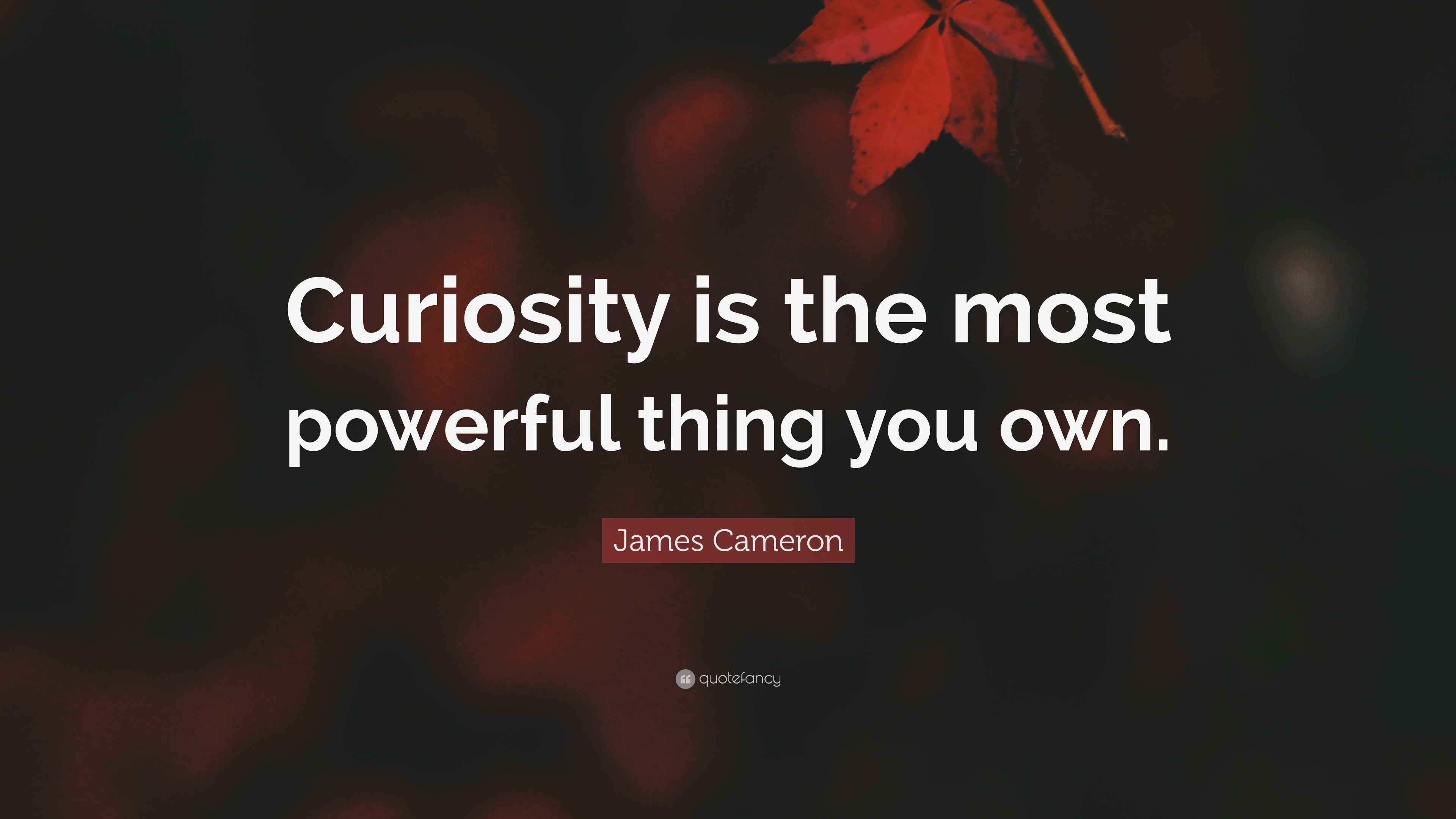 James Cameron Quote: “Curiosity is the most powerful thing you own.”