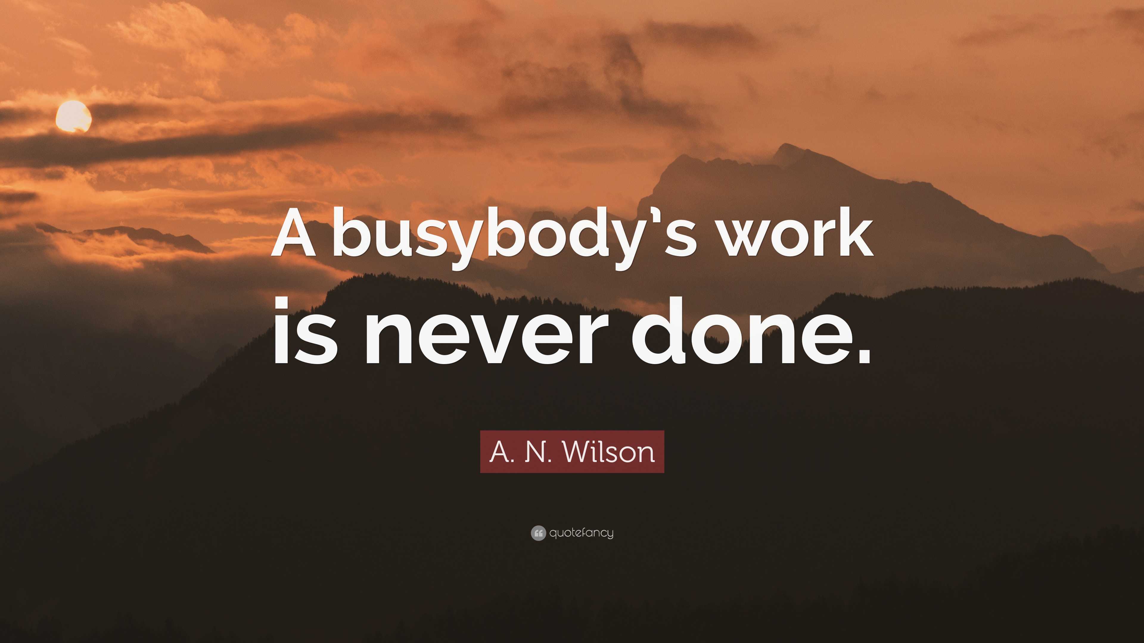 A. N. Wilson Quote: “A busybody’s work is never done.”