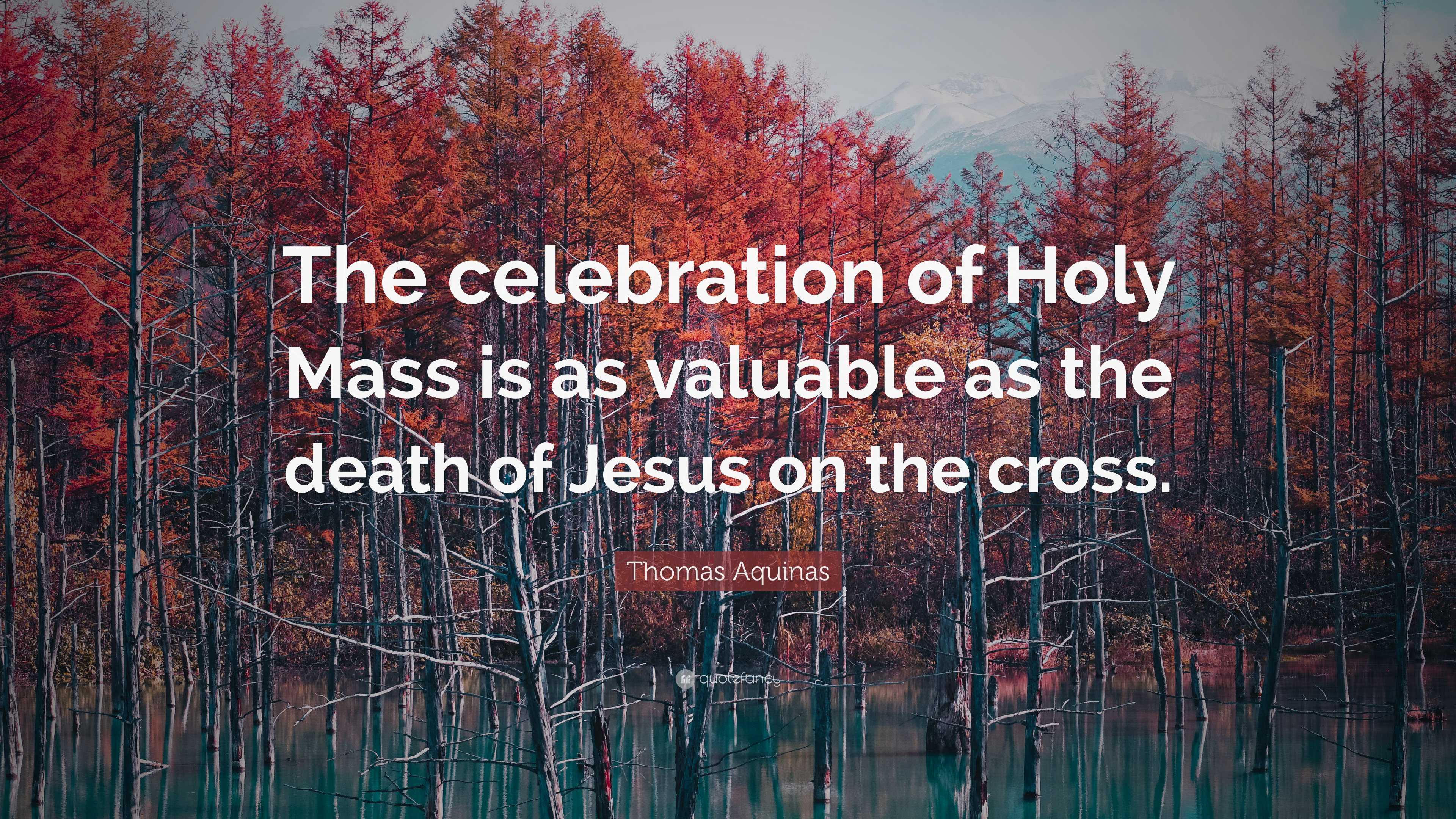 Thomas Aquinas Quote: “The celebration of Holy Mass is as valuable as ...