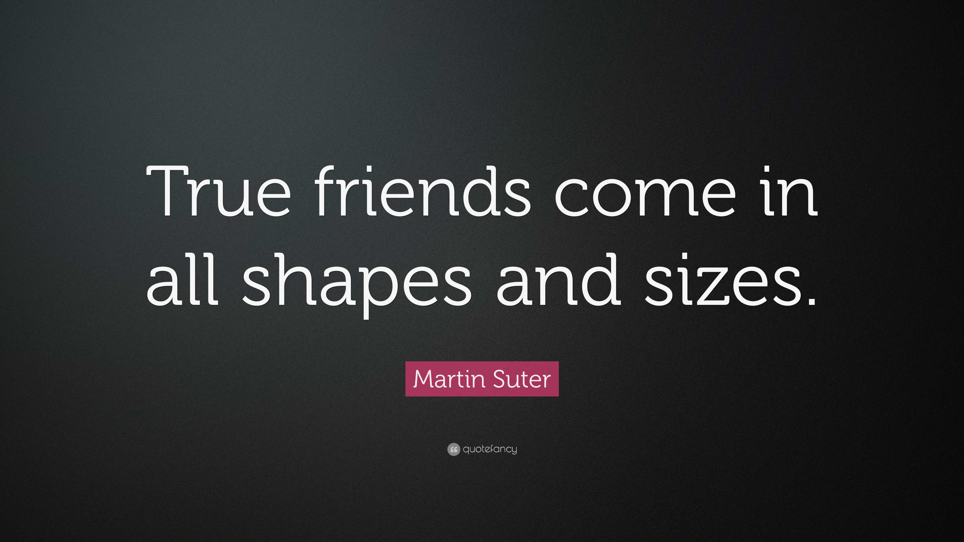 Martin Suter Quote: “True friends come in all shapes and sizes.”