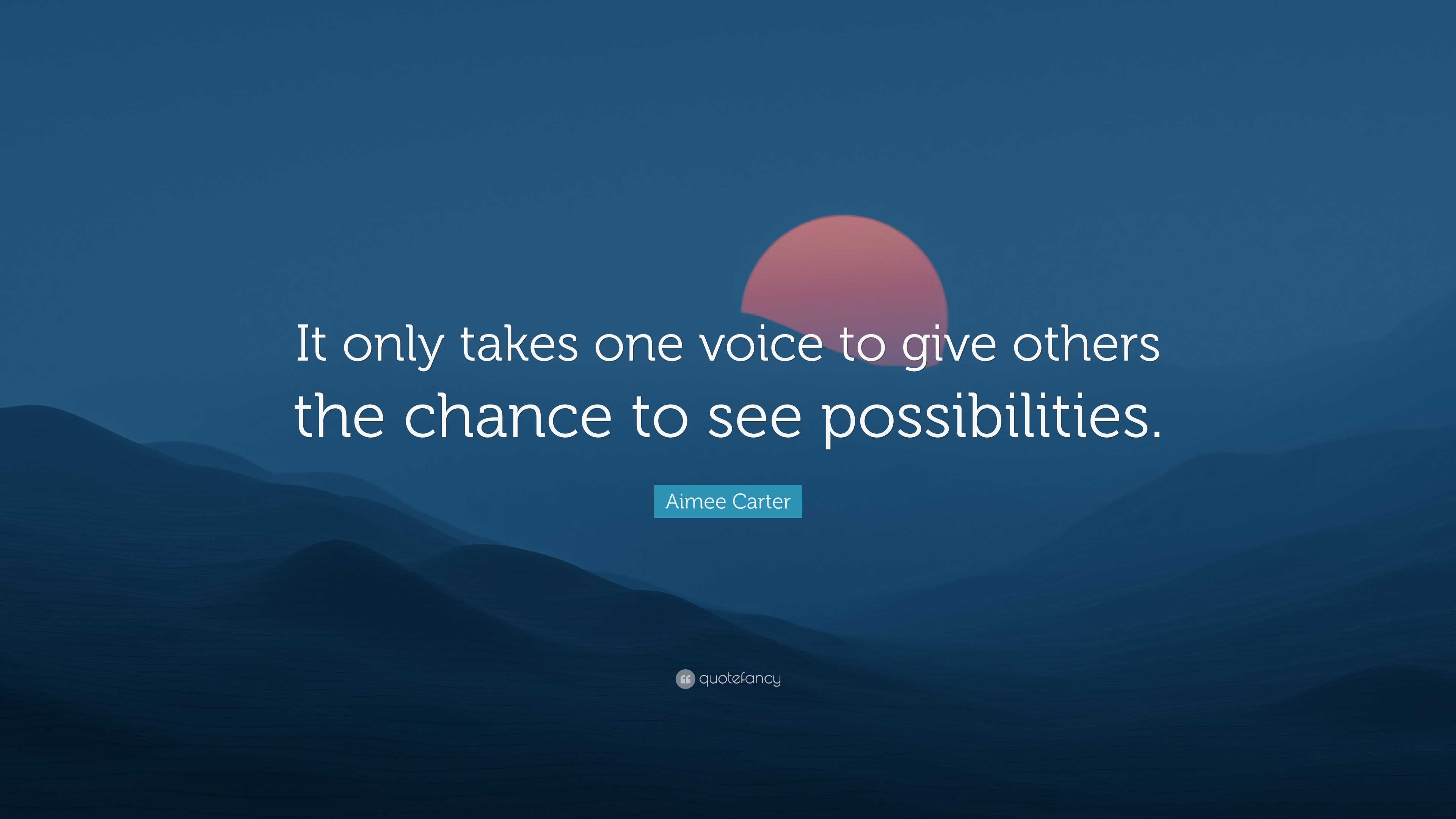 Aimee Carter Quote: “It only takes one voice to give others the chance ...