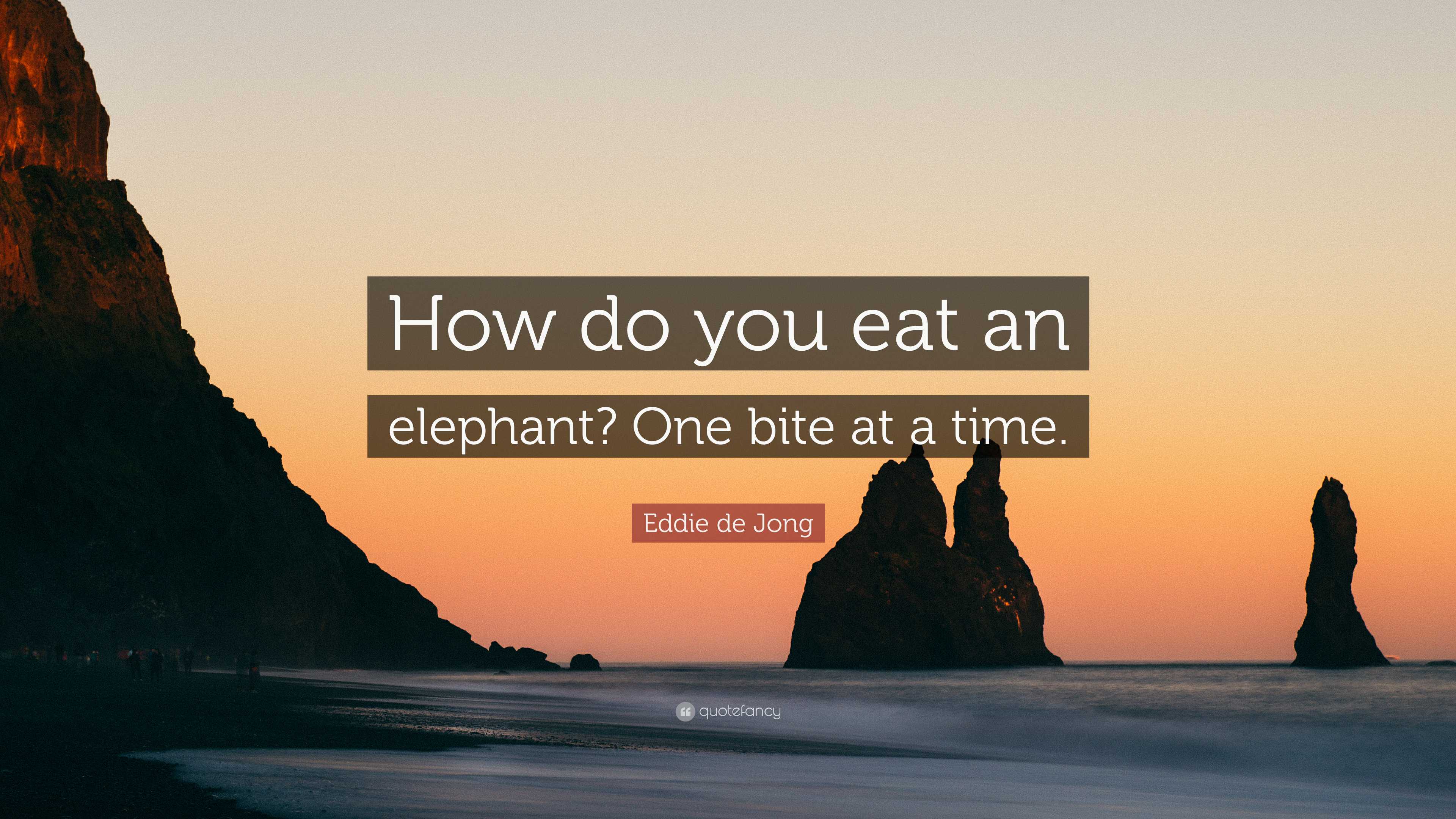 Eddie de Jong Quote: “How do you eat an elephant? One bite at a time.”