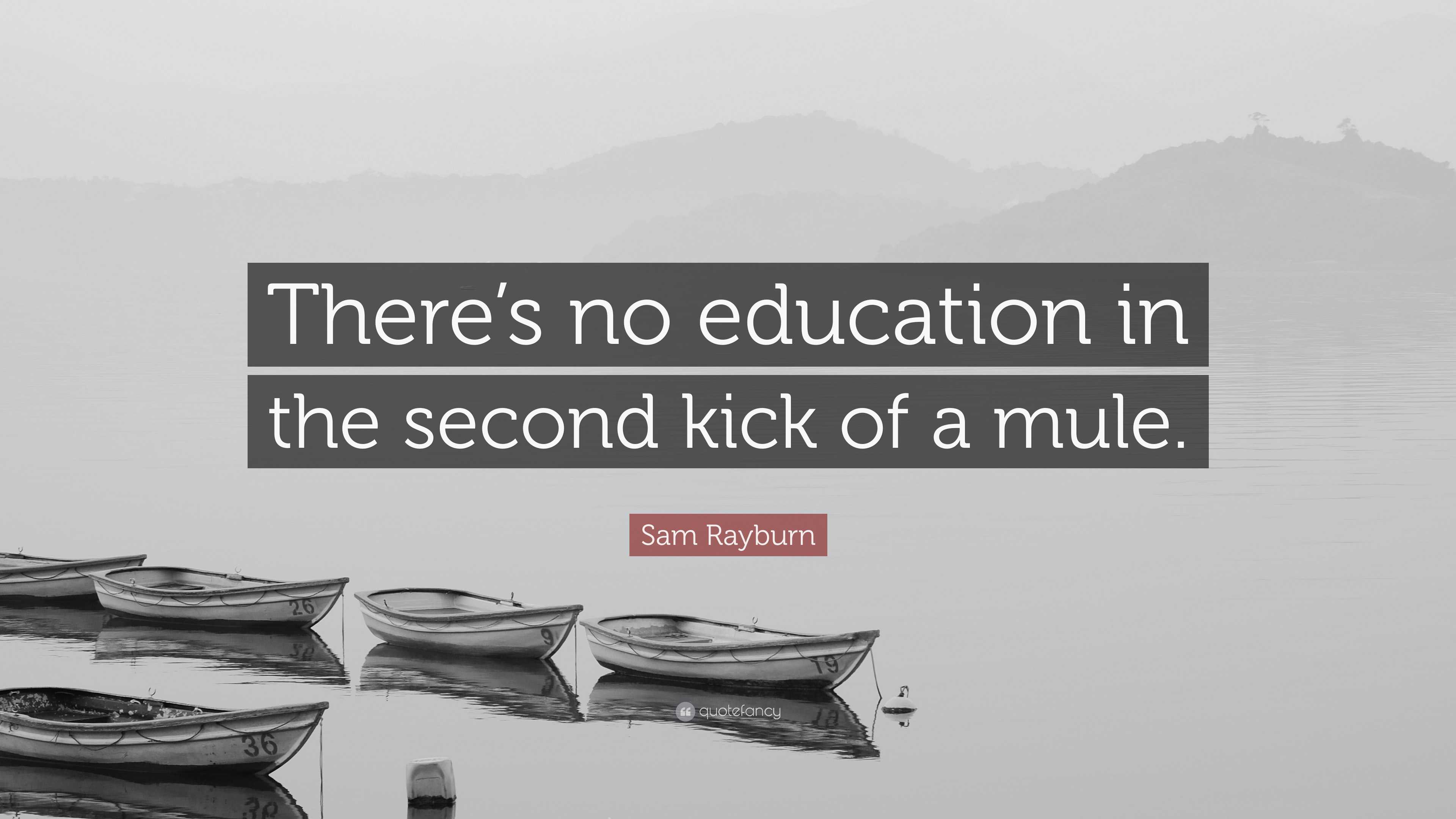 Sam Rayburn Quote: “There’s no education in the second kick of a mule.”