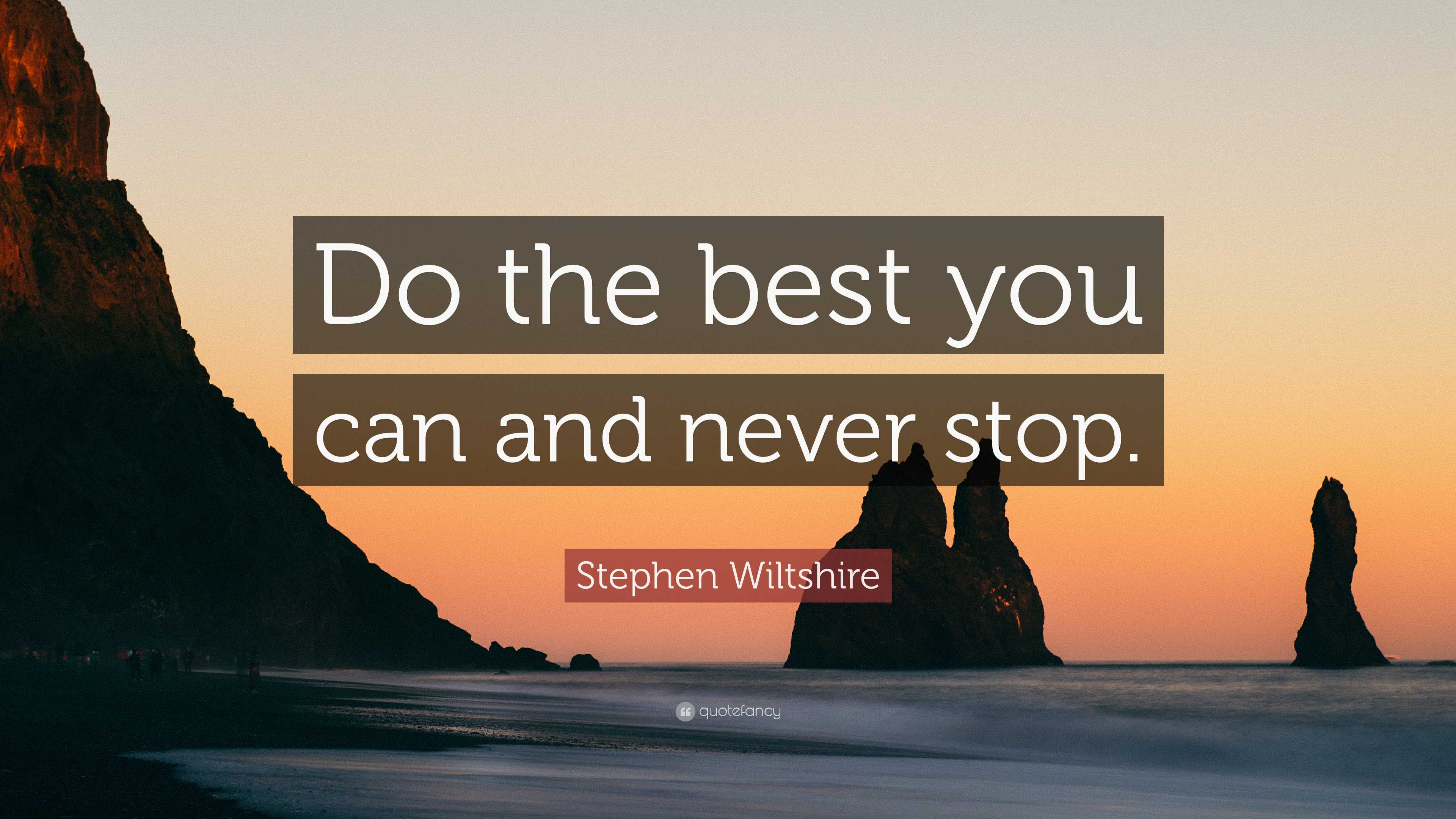 Stephen Wiltshire Quote: “Do the best you can and never stop.”