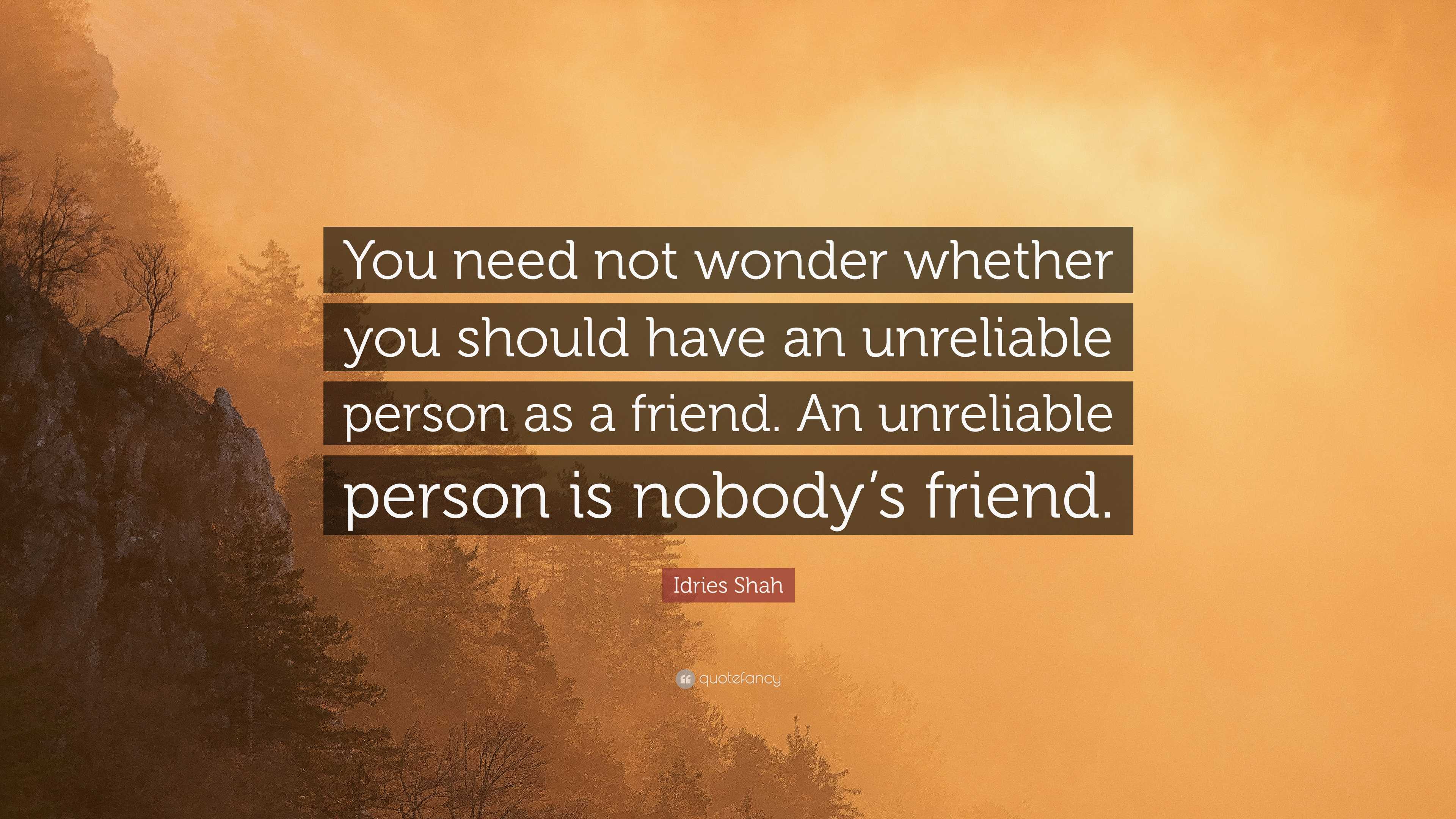 Idries Shah Quote: “You need not wonder whether you should have an ...