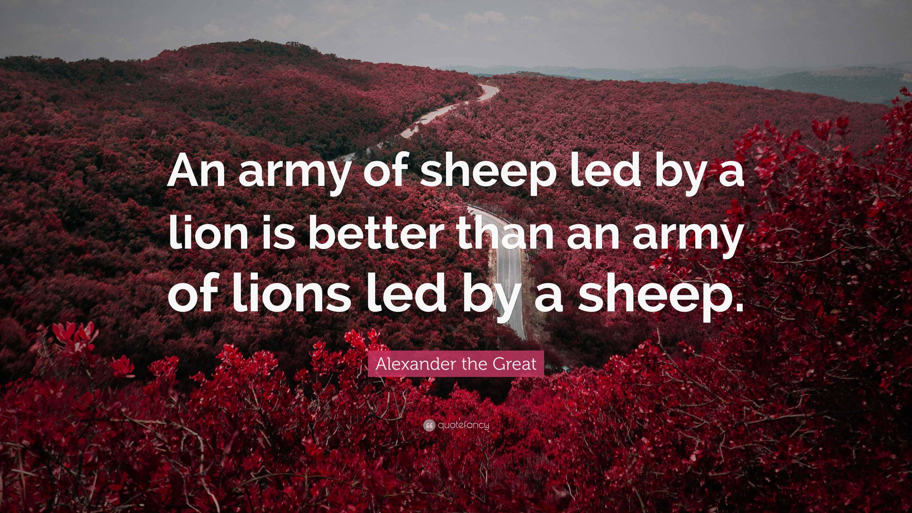 Alexander the Great Quote: “An army of sheep led by a lion is better ...