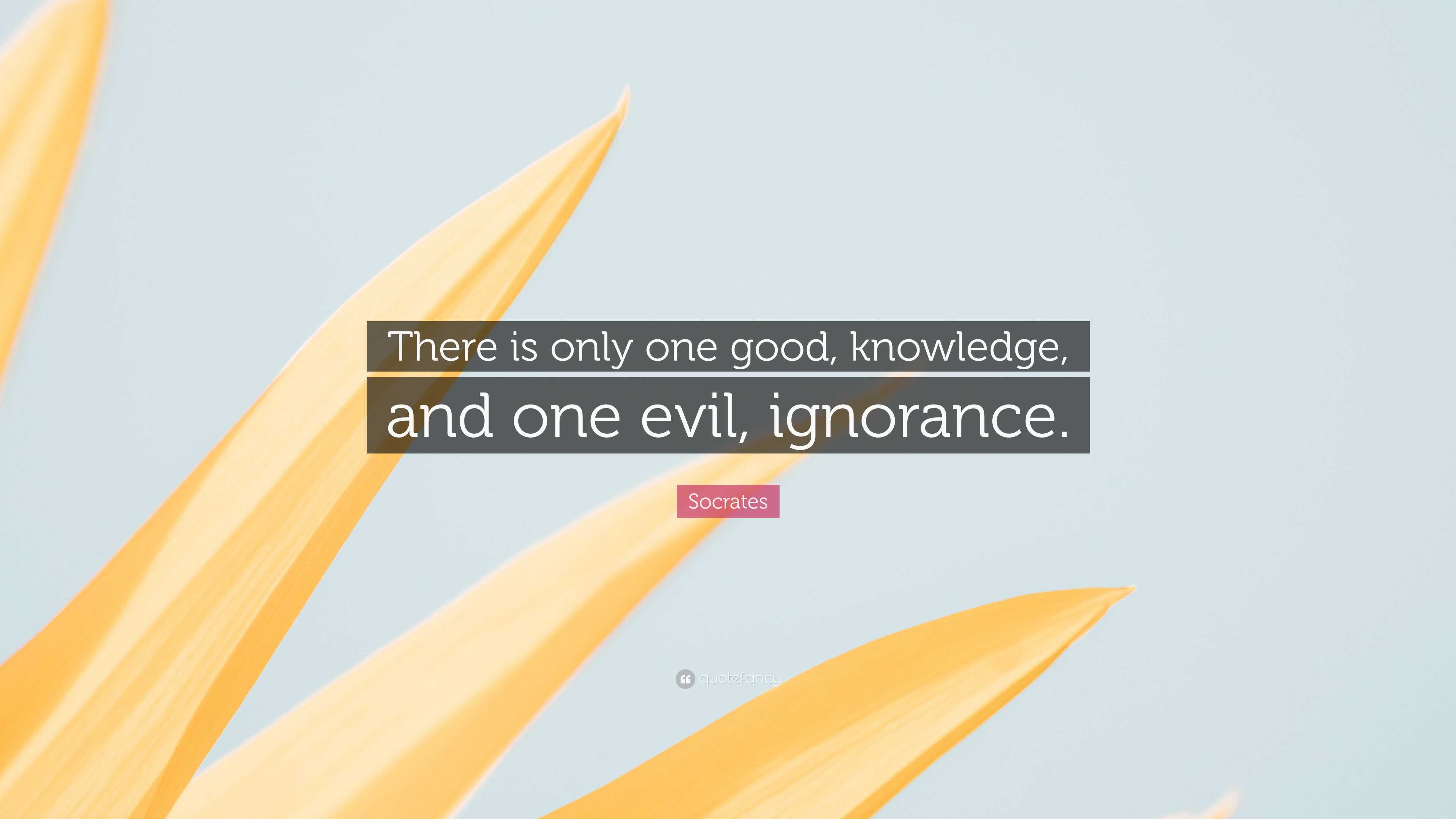 Socrates Quote: “There is only one good, knowledge, and one evil ...