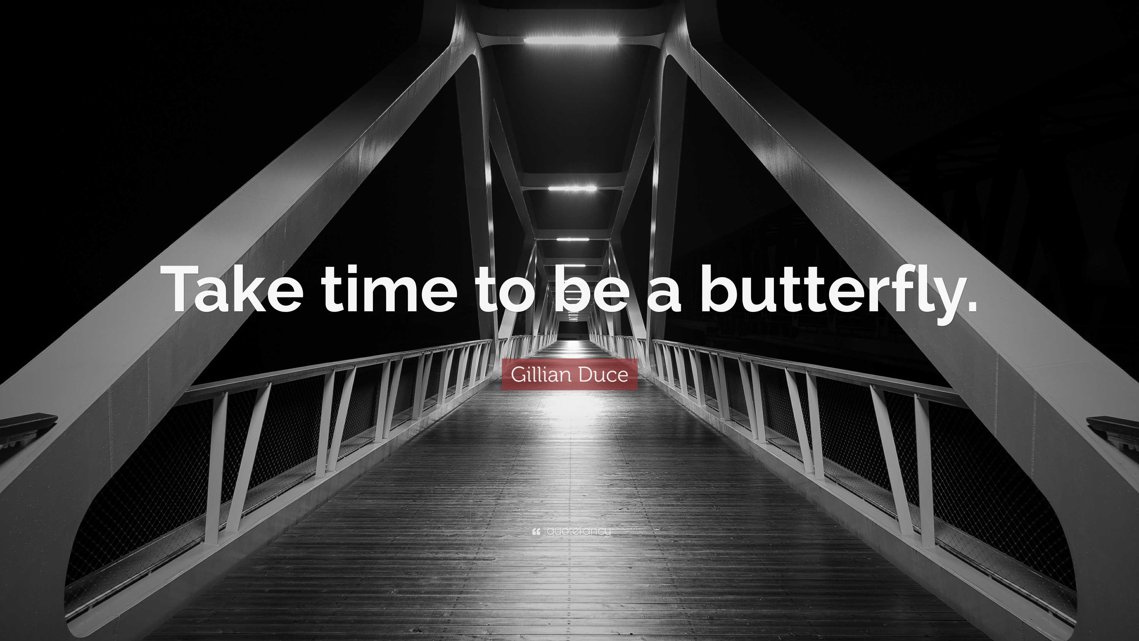 Gillian Duce Quote: “Take time to be a butterfly.”