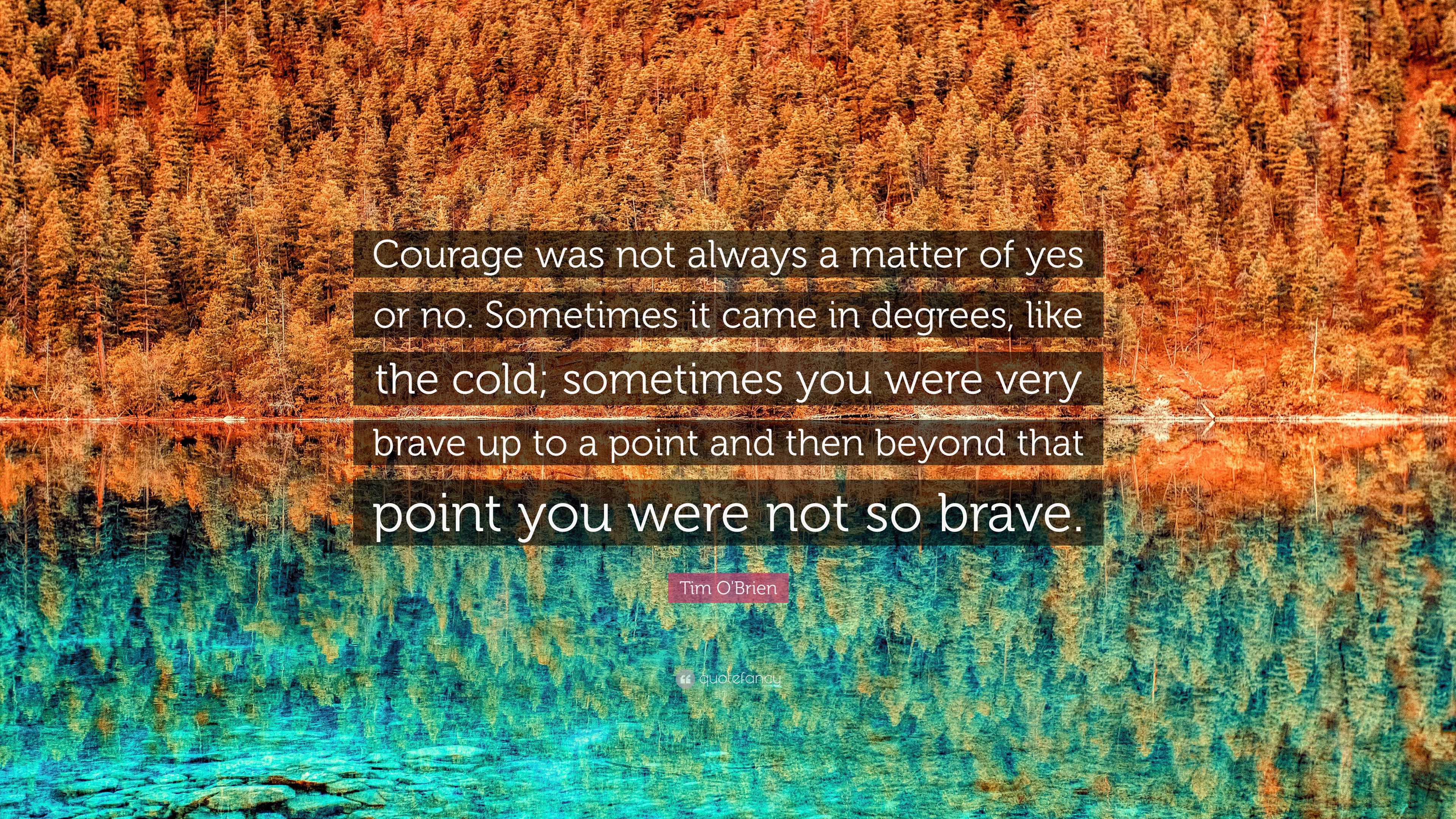 Tim O'Brien Quote: “Courage was not always a matter of yes or no ...