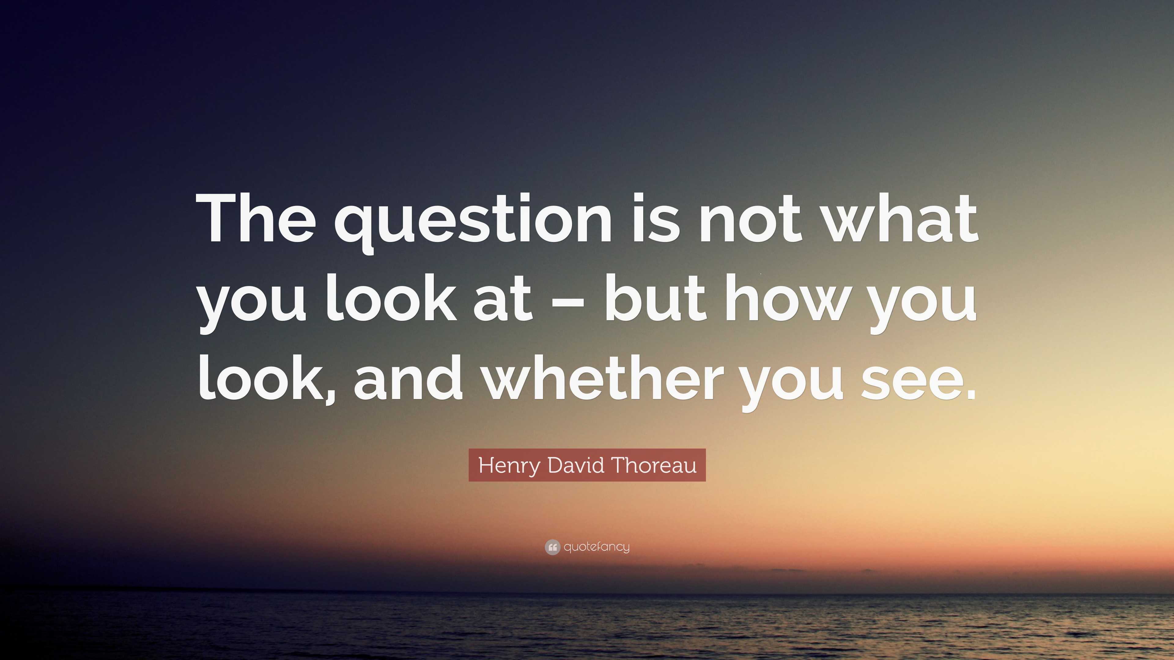 Henry David Thoreau Quote: “The question is not what you look at – but ...