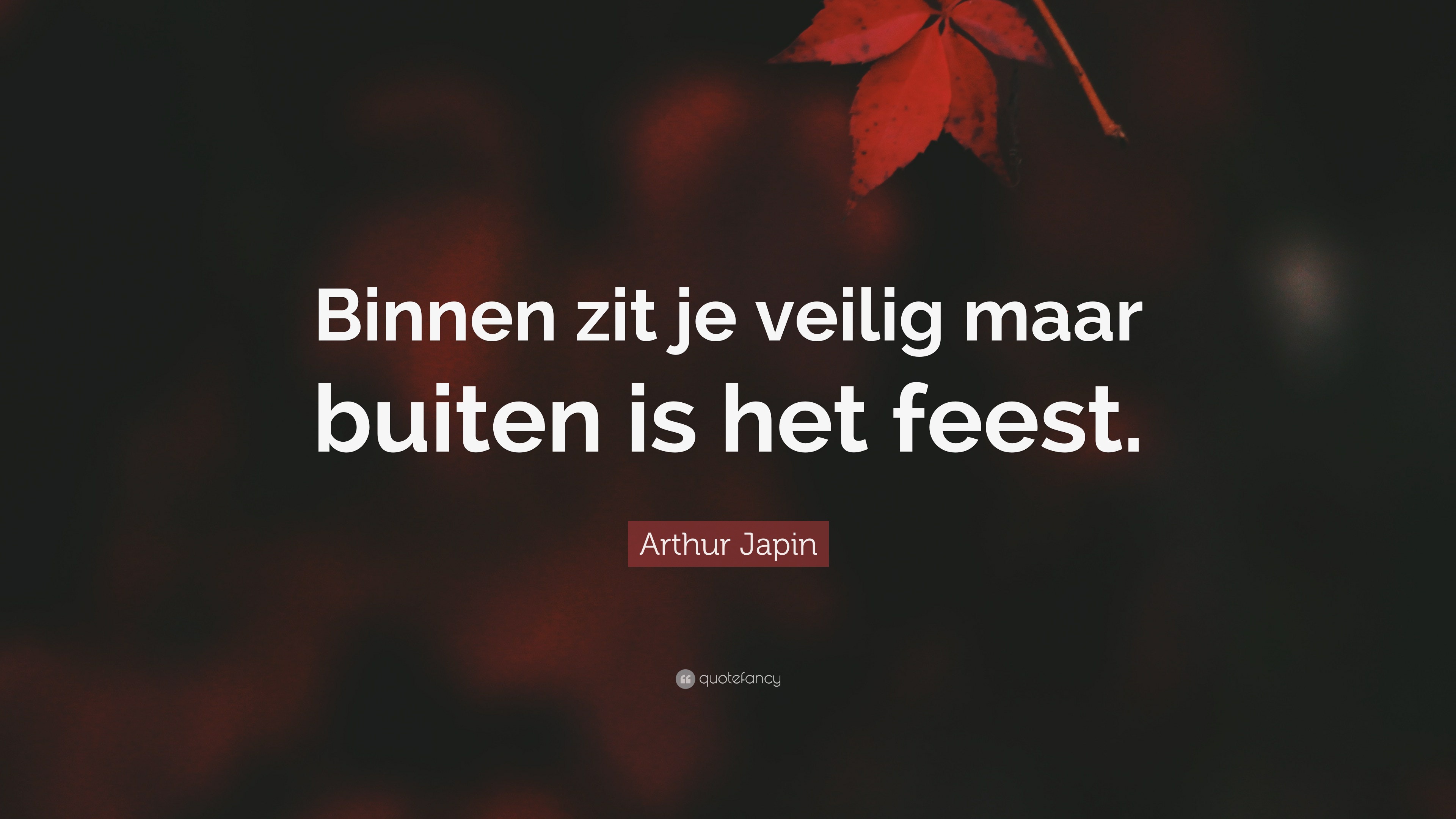 Arthur Japin Quote: “Binnen zit je veilig maar buiten is het feest.”