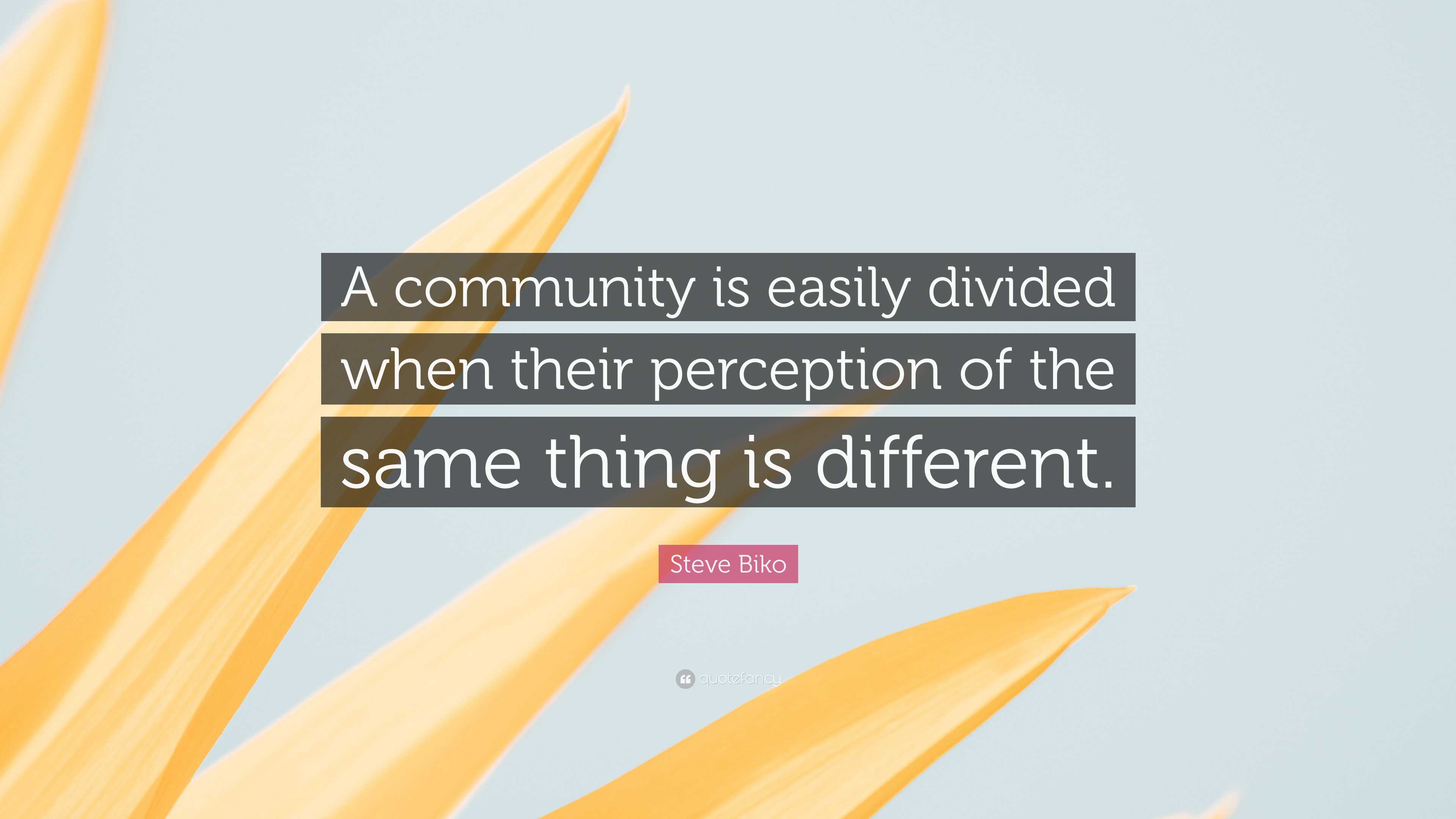 Steve Biko Quote: “A community is easily divided when their perception ...