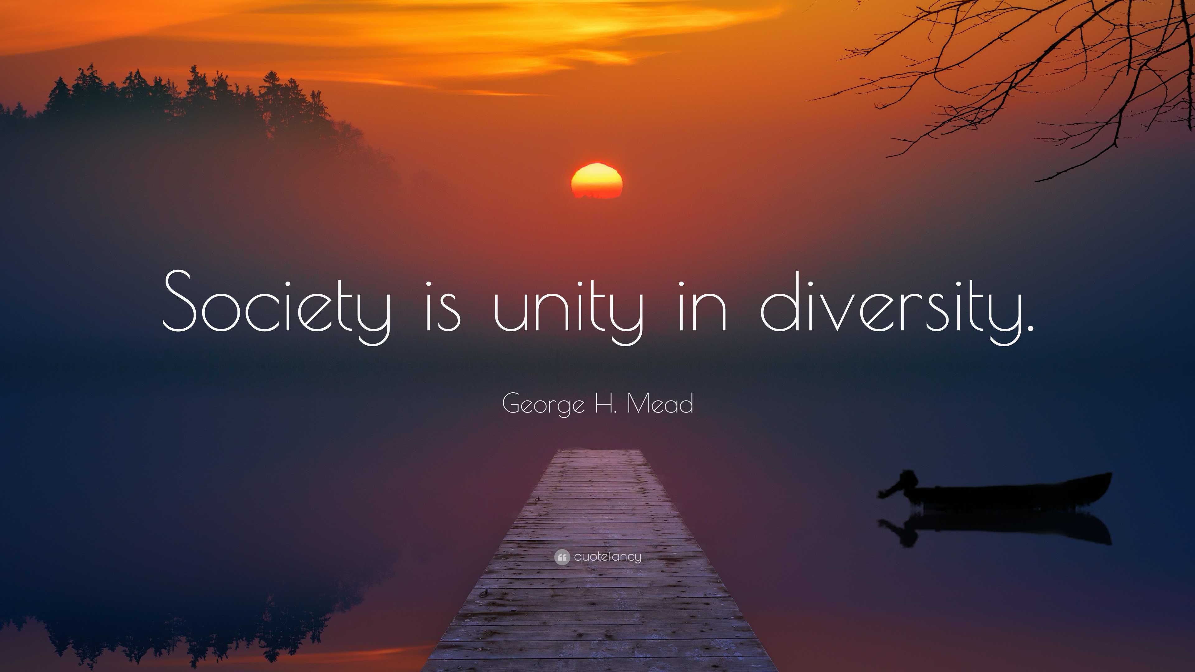 George H. Mead Quote: “Society is unity in diversity.”
