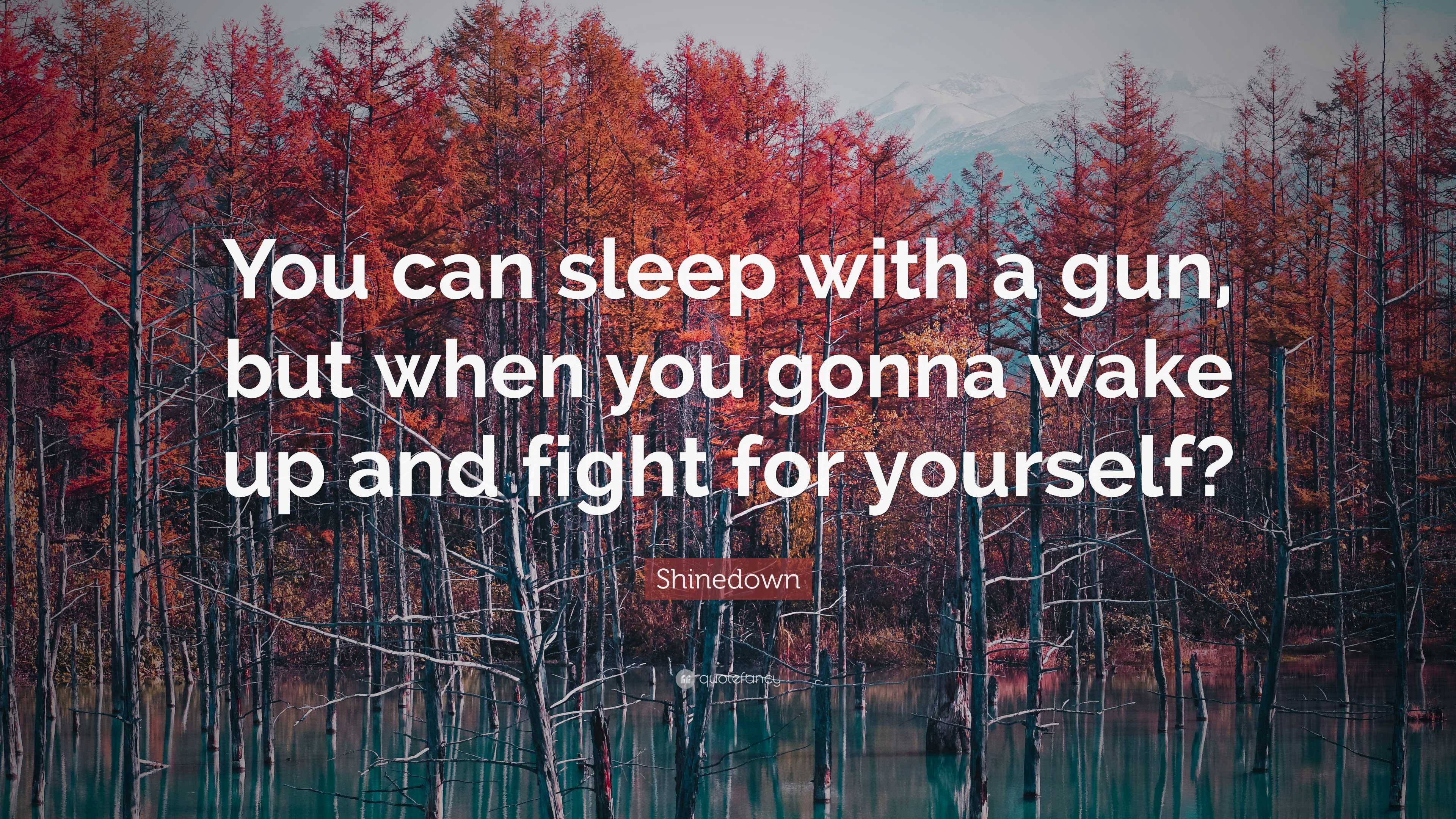 Shinedown Quote: “You can sleep with a gun, but when you gonna wake up ...