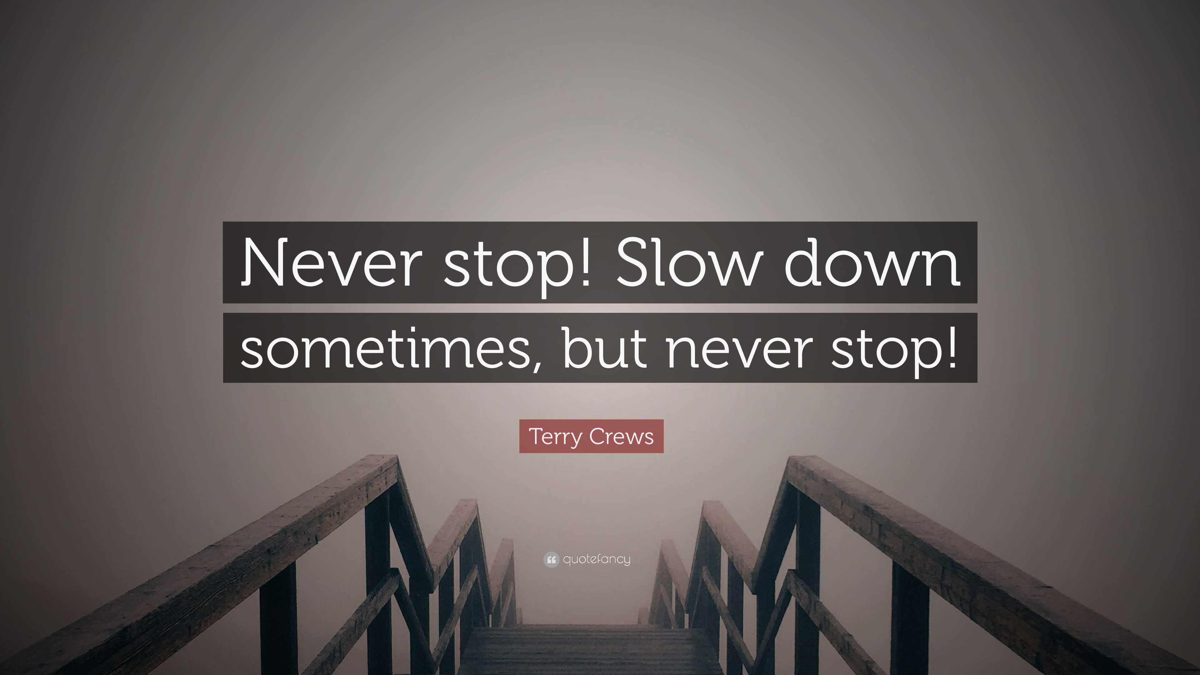 Terry Crews Quote: “Never stop! Slow down sometimes, but never stop!”