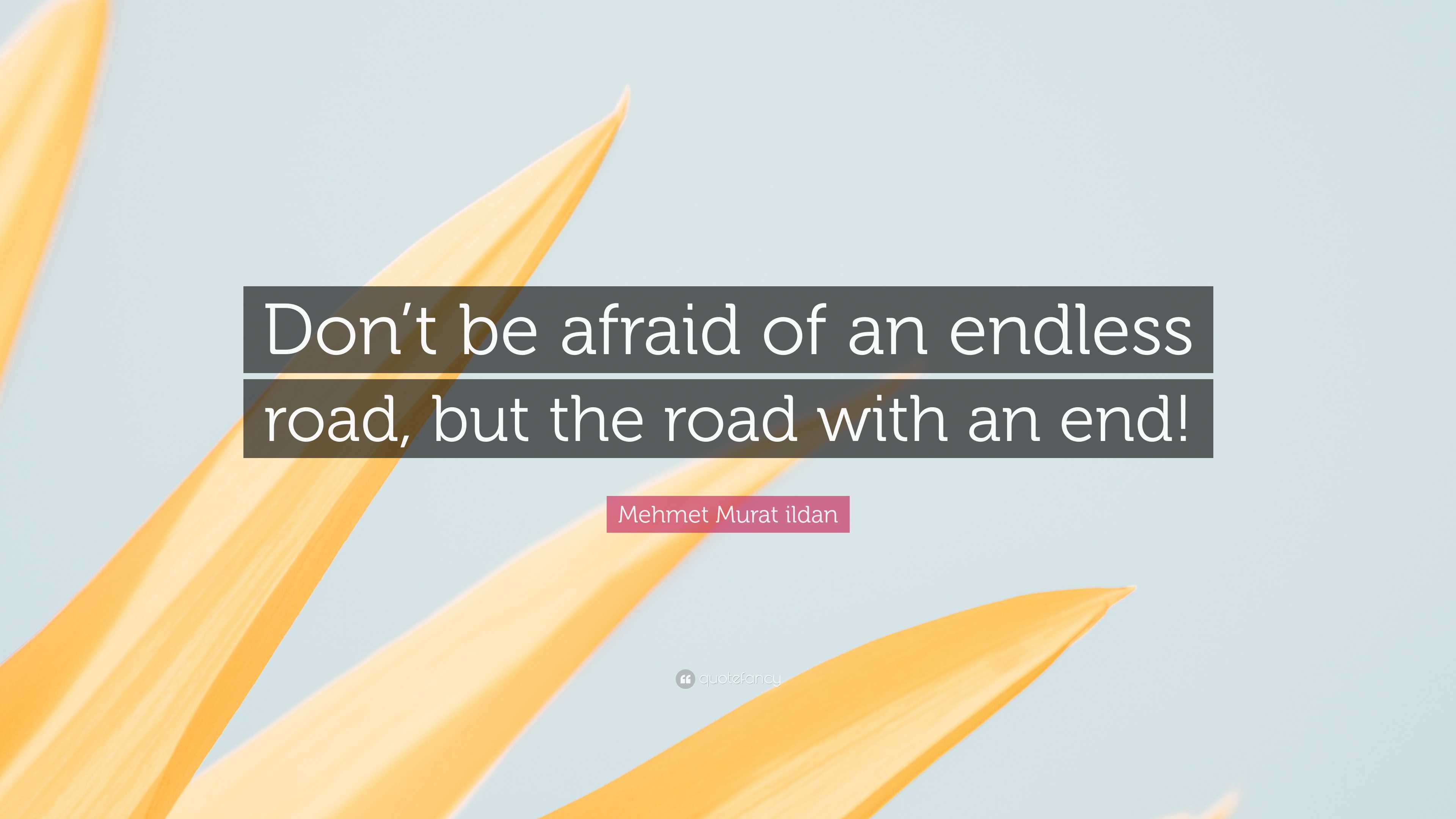 Endless Road Quotes