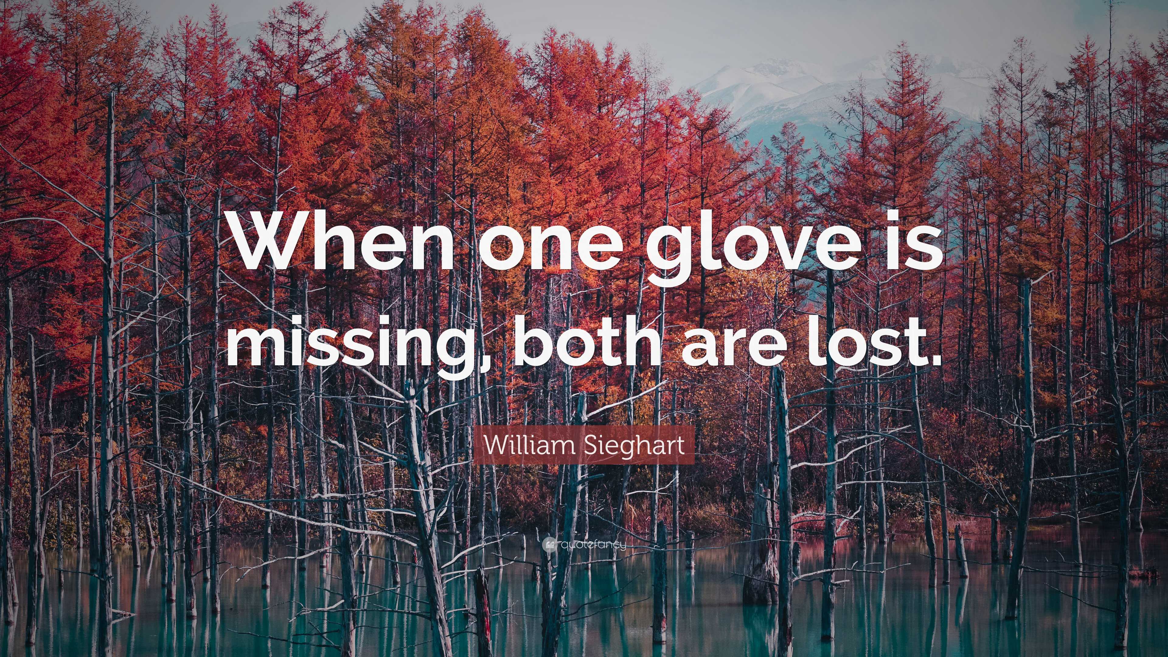 William Sieghart Quote: “When one glove is missing, both are lost.”