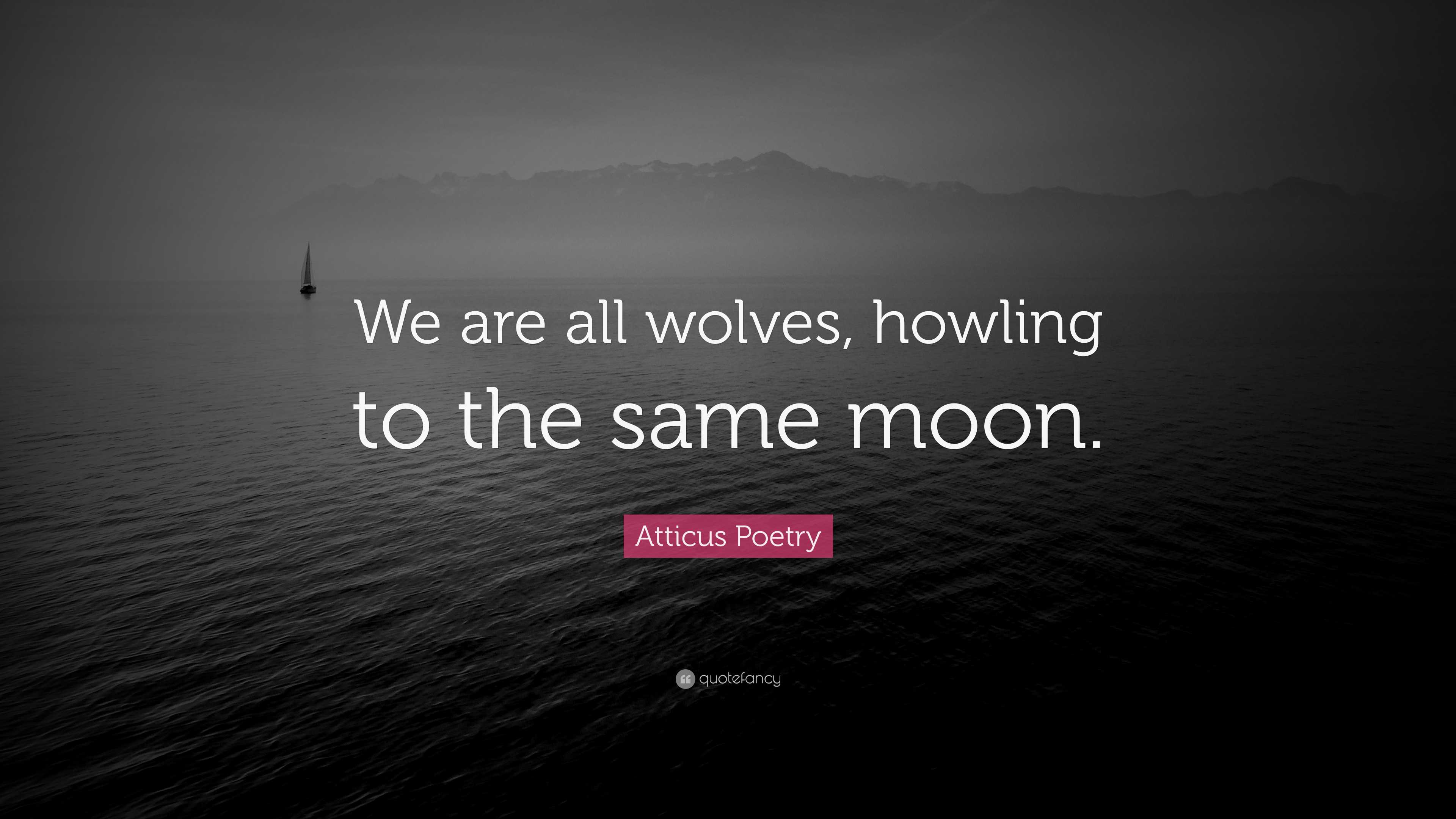 Atticus Poetry Quote: “We are all wolves, howling to the same moon.”