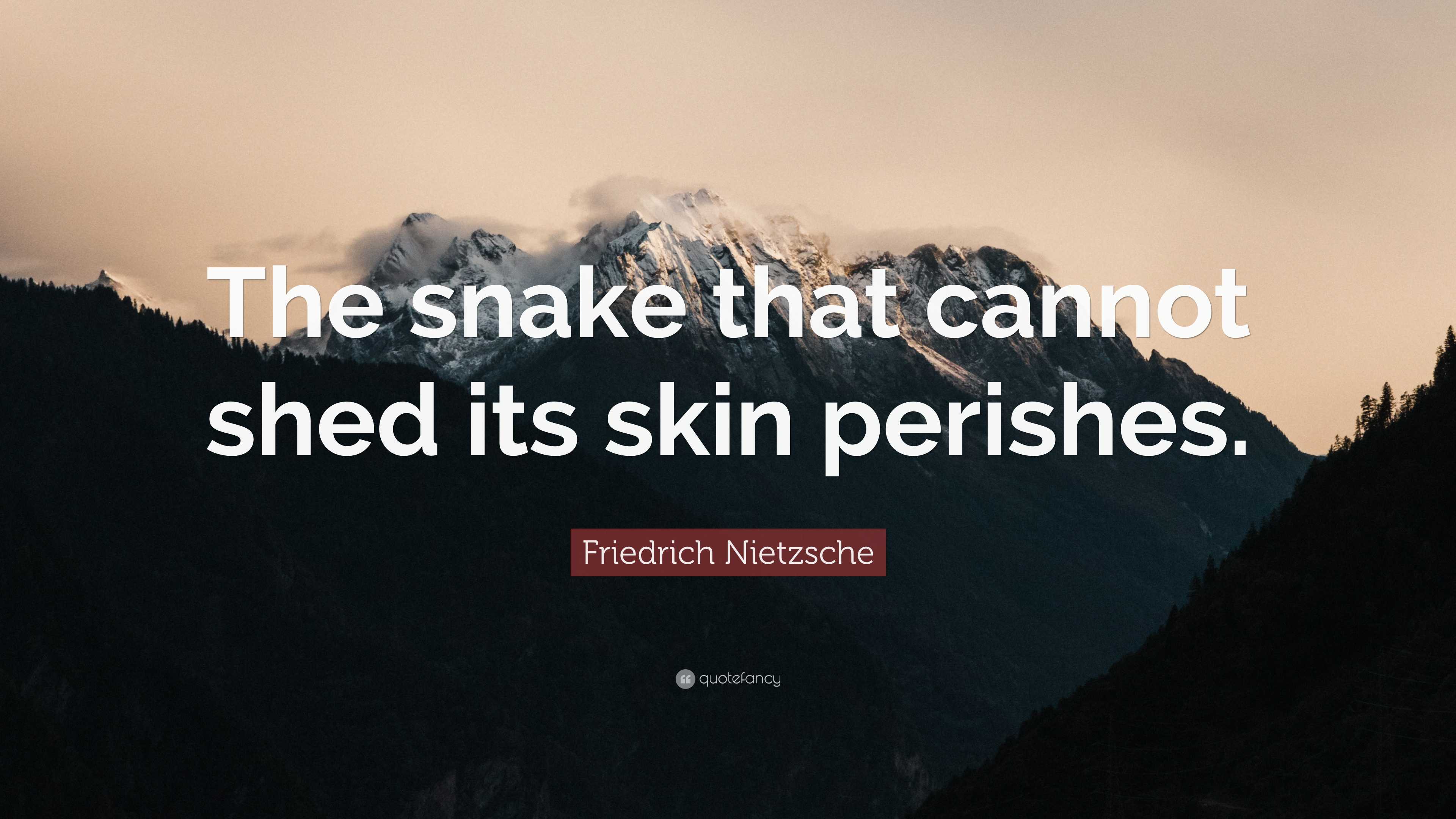 Friedrich Nietzsche Quote: “The snake that cannot shed its skin perishes.”