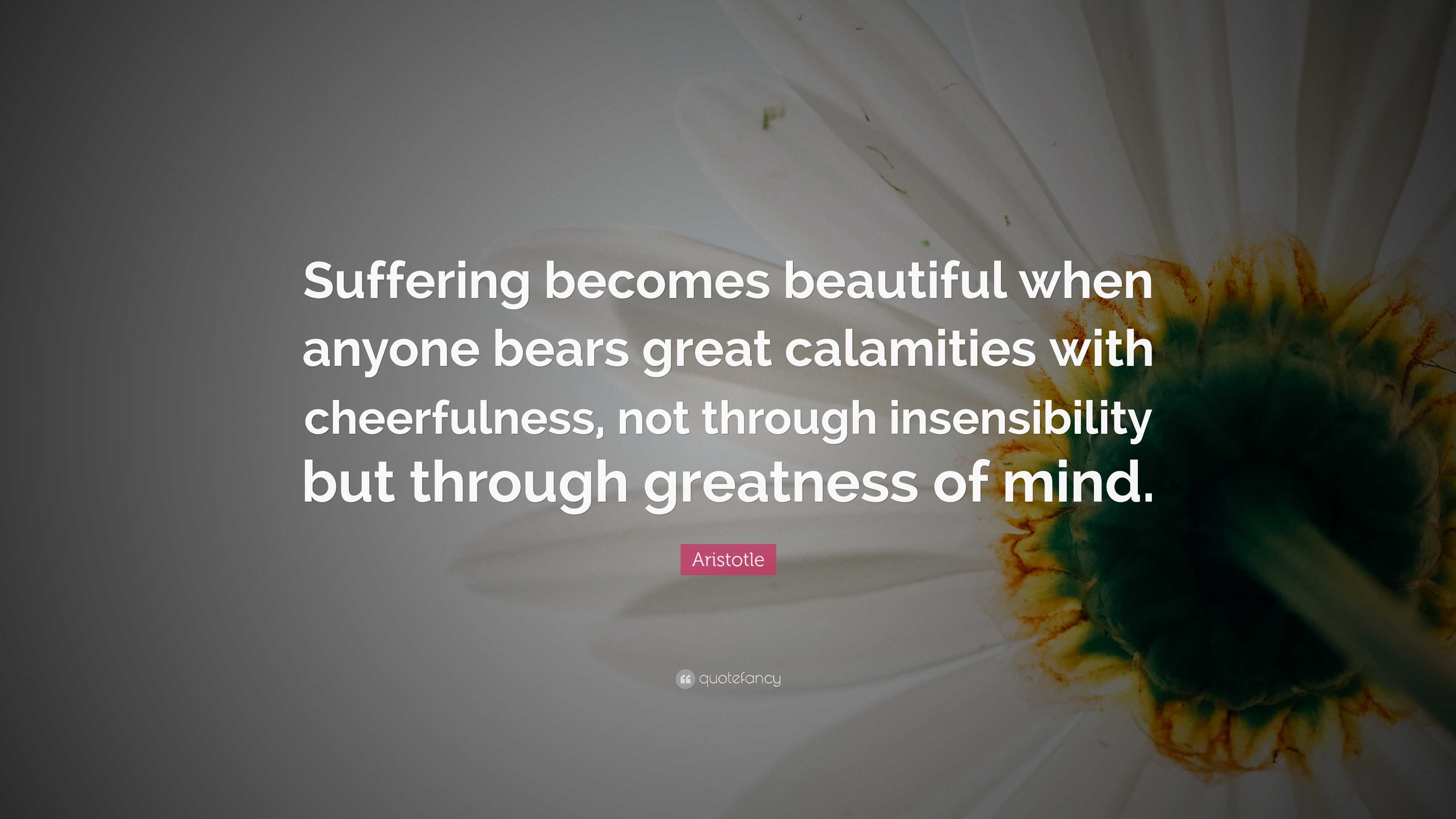 Aristotle Quote: “Suffering becomes beautiful when anyone bears great ...