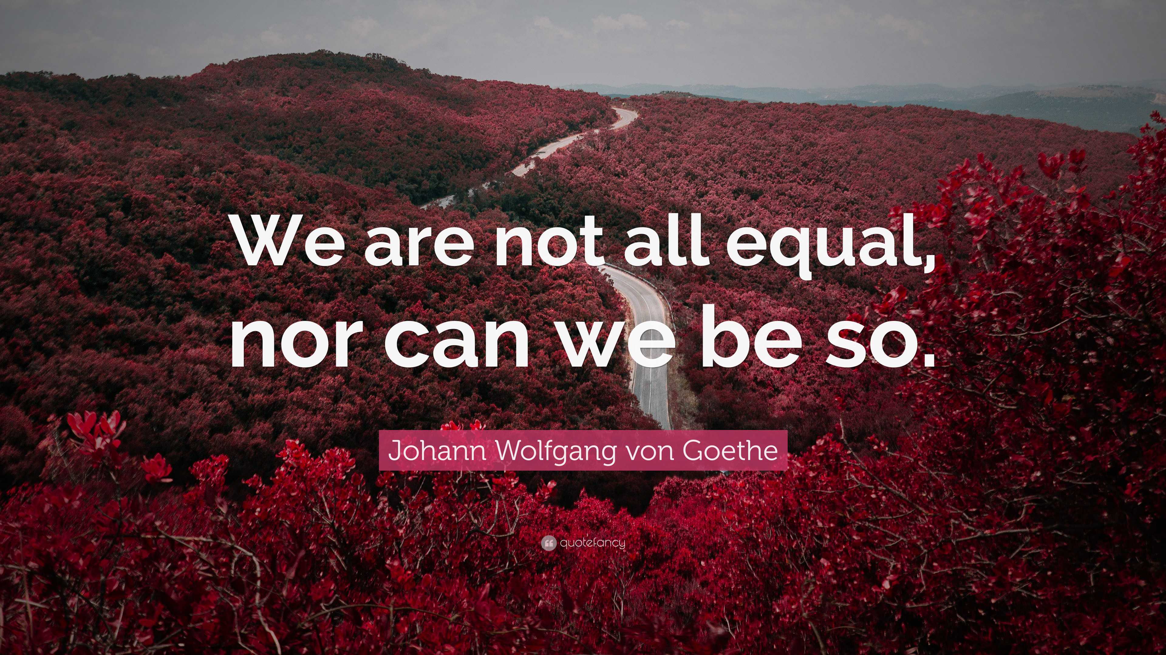 Johann Wolfgang von Goethe Quote: “We are not all equal, nor can we be so.”
