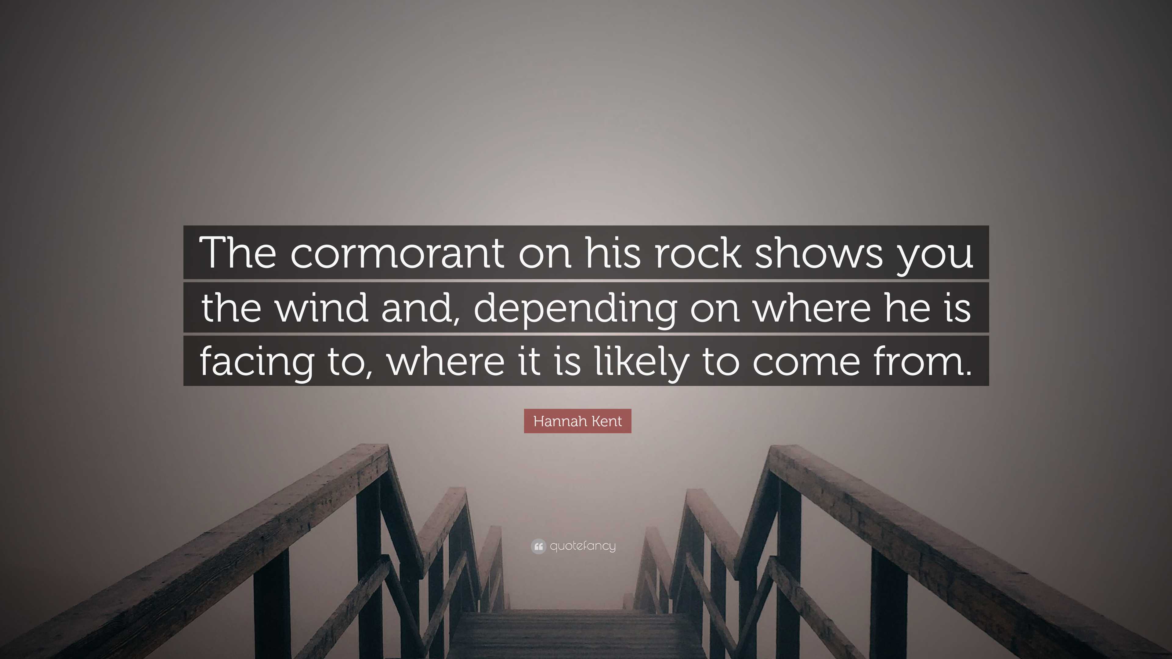 Hannah Kent Quote: “The cormorant on his rock shows you the wind and ...