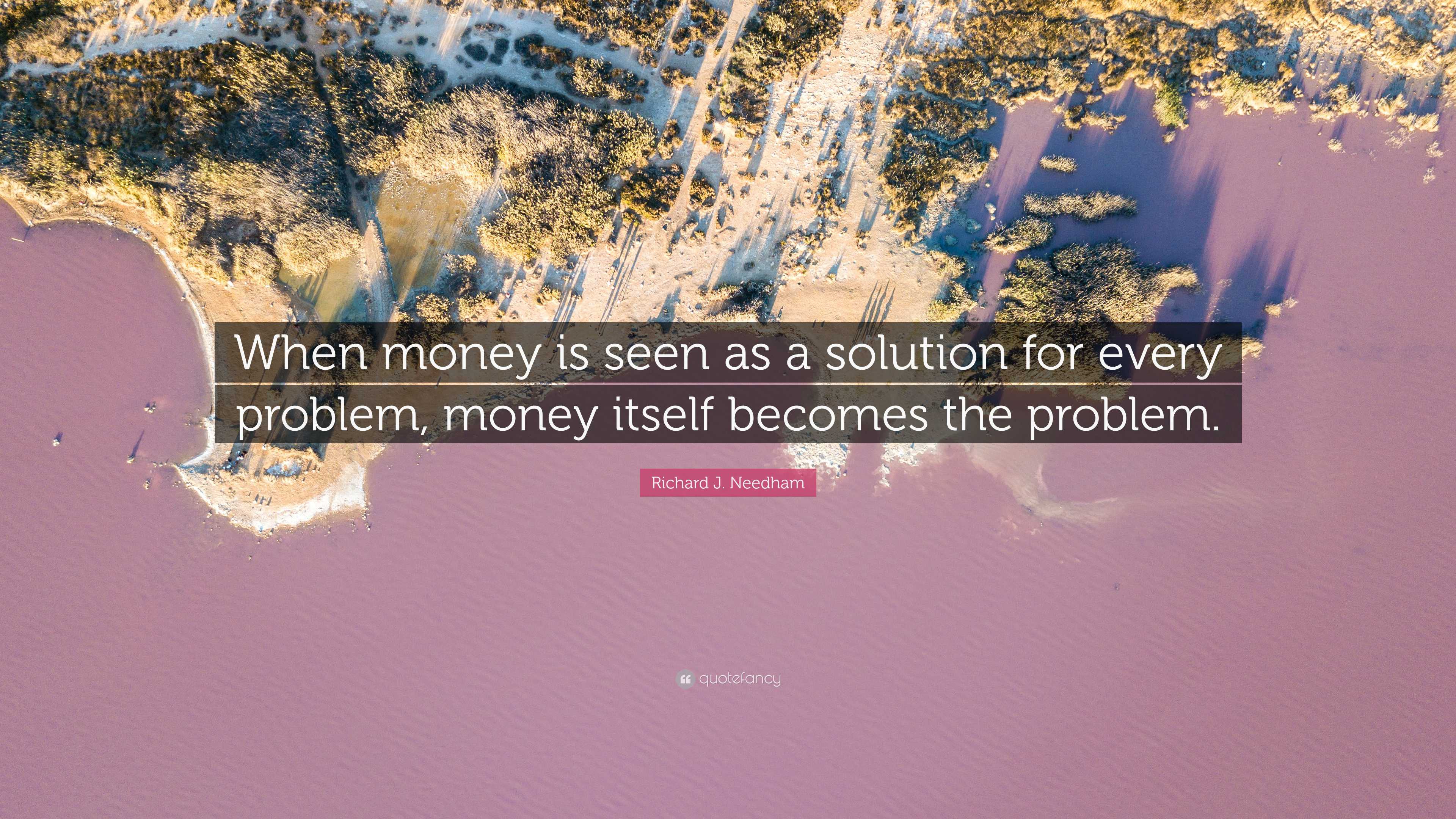 Richard J. Needham Quote: “When money is seen as a solution for every ...