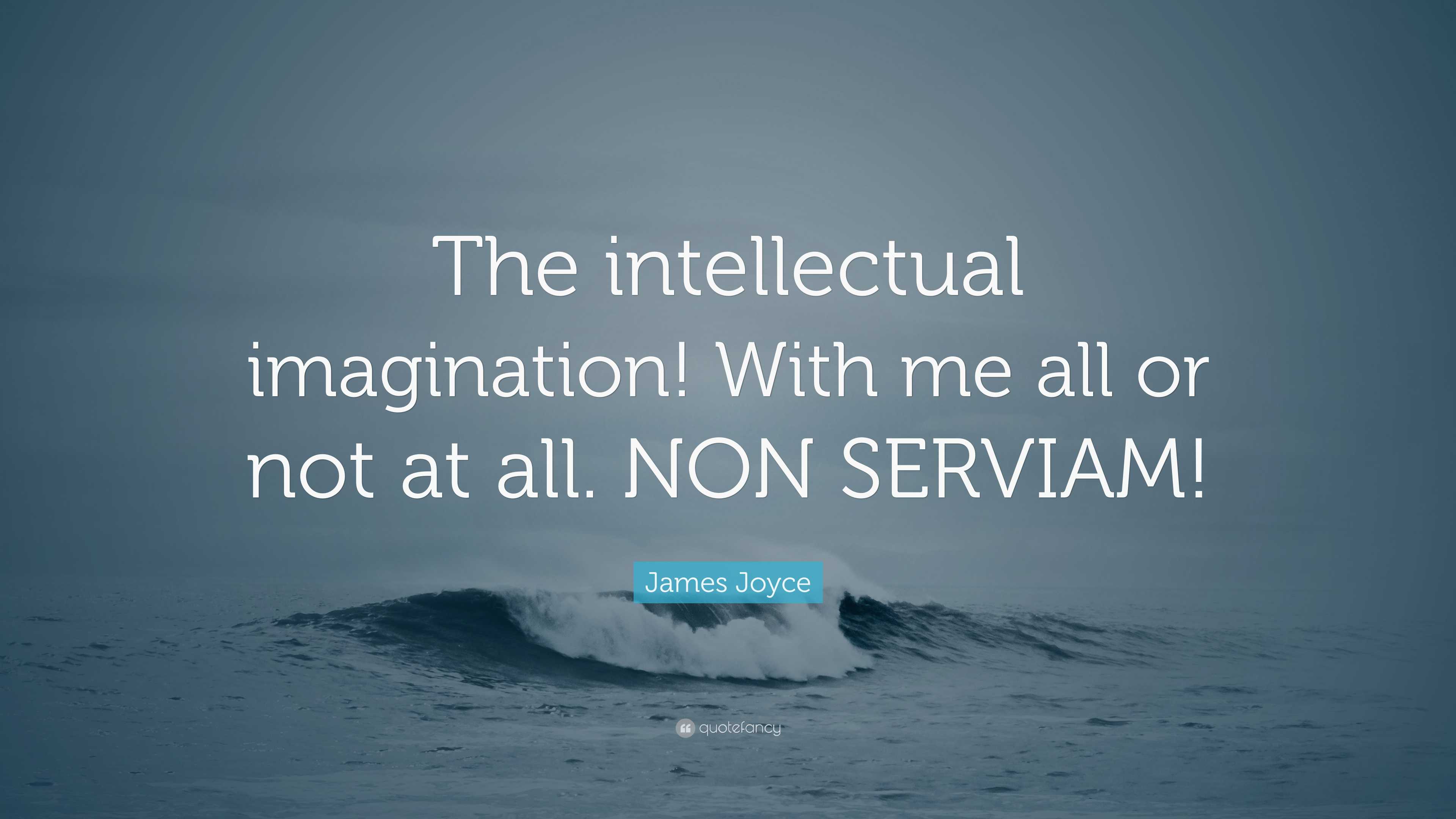 James Joyce Quote: “The intellectual imagination! With me all or not at ...