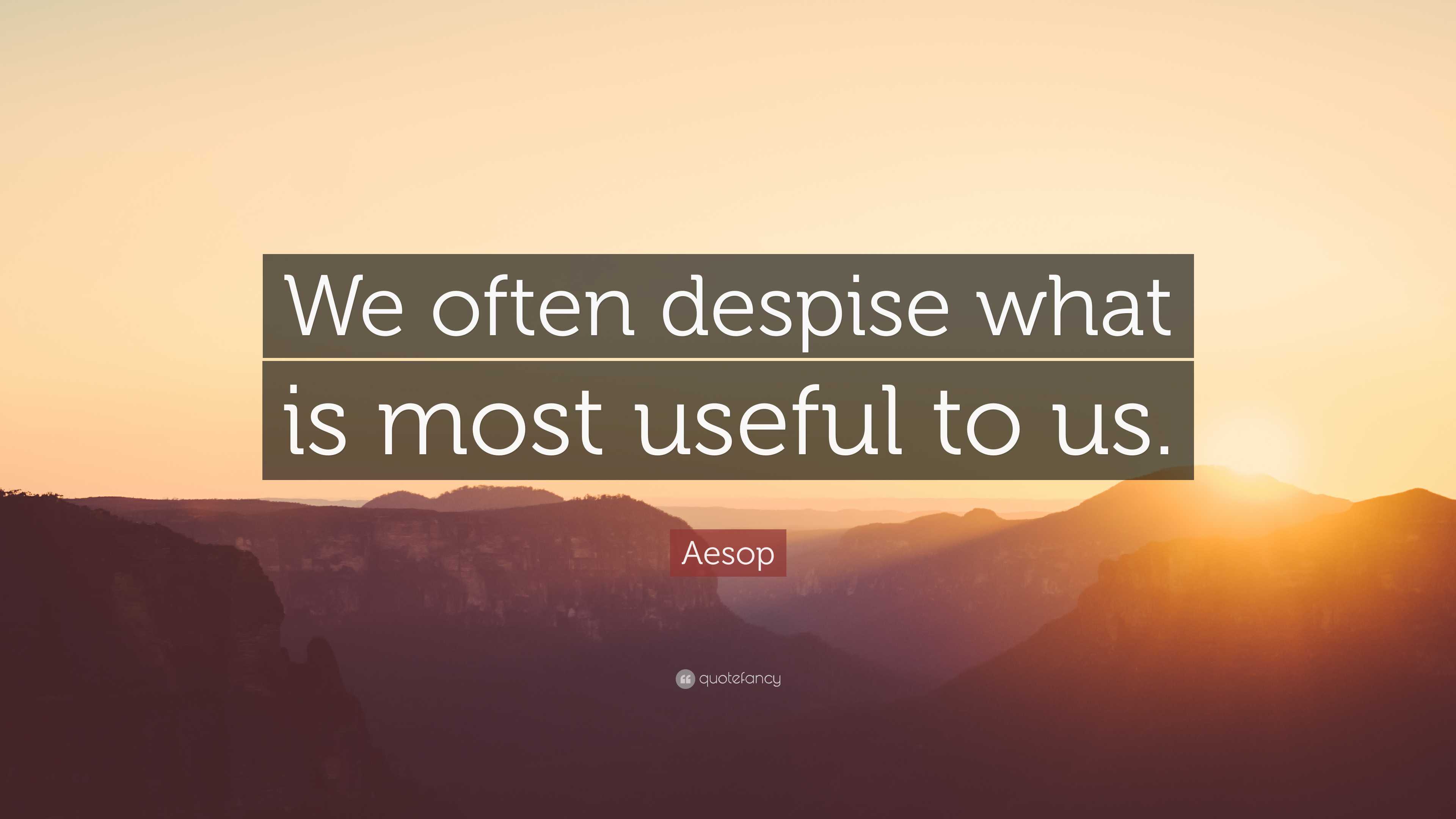 Aesop Quote: “We often despise what is most useful to us.”