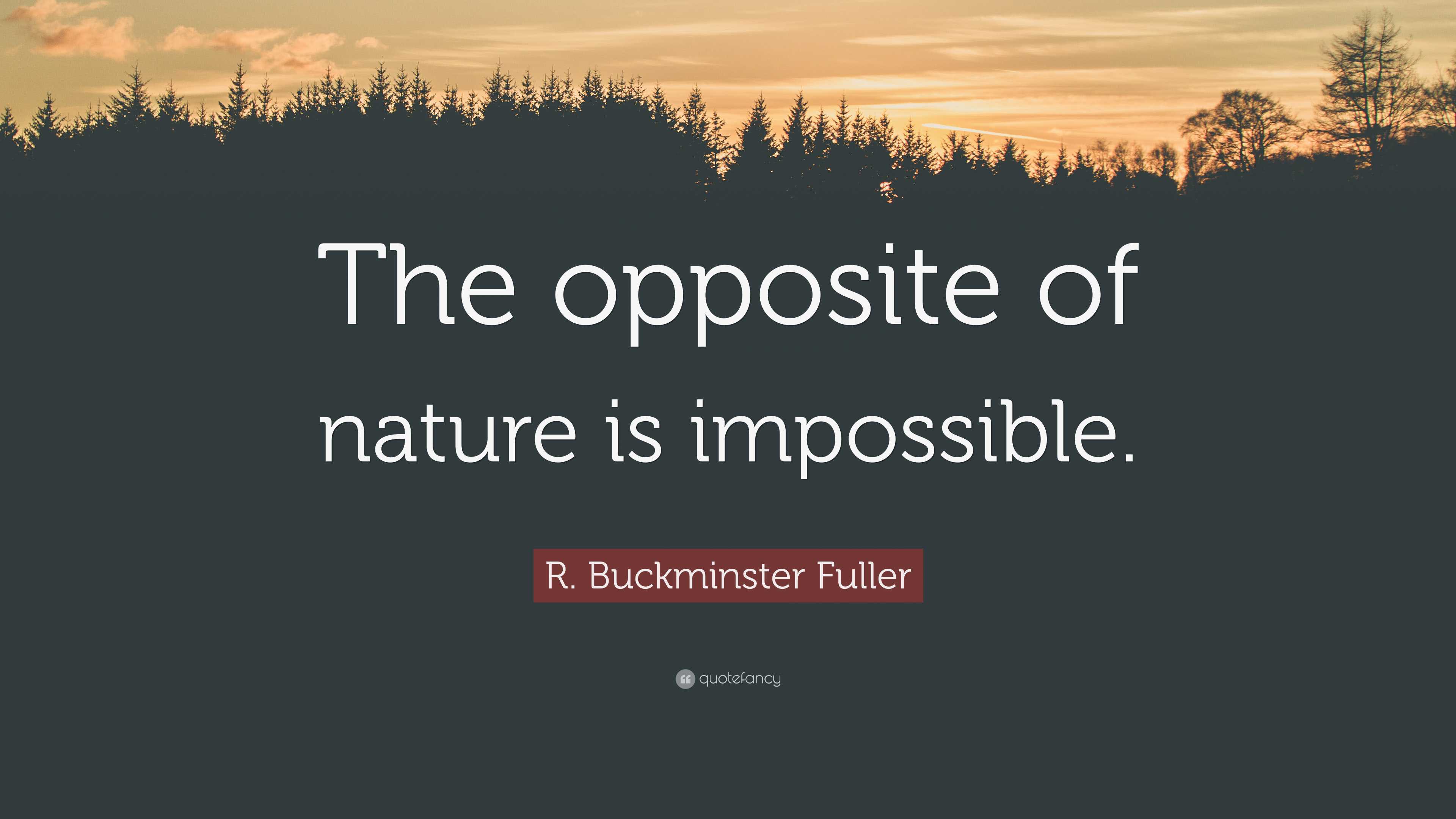 R. Buckminster Fuller Quote: “The opposite of nature is impossible.”