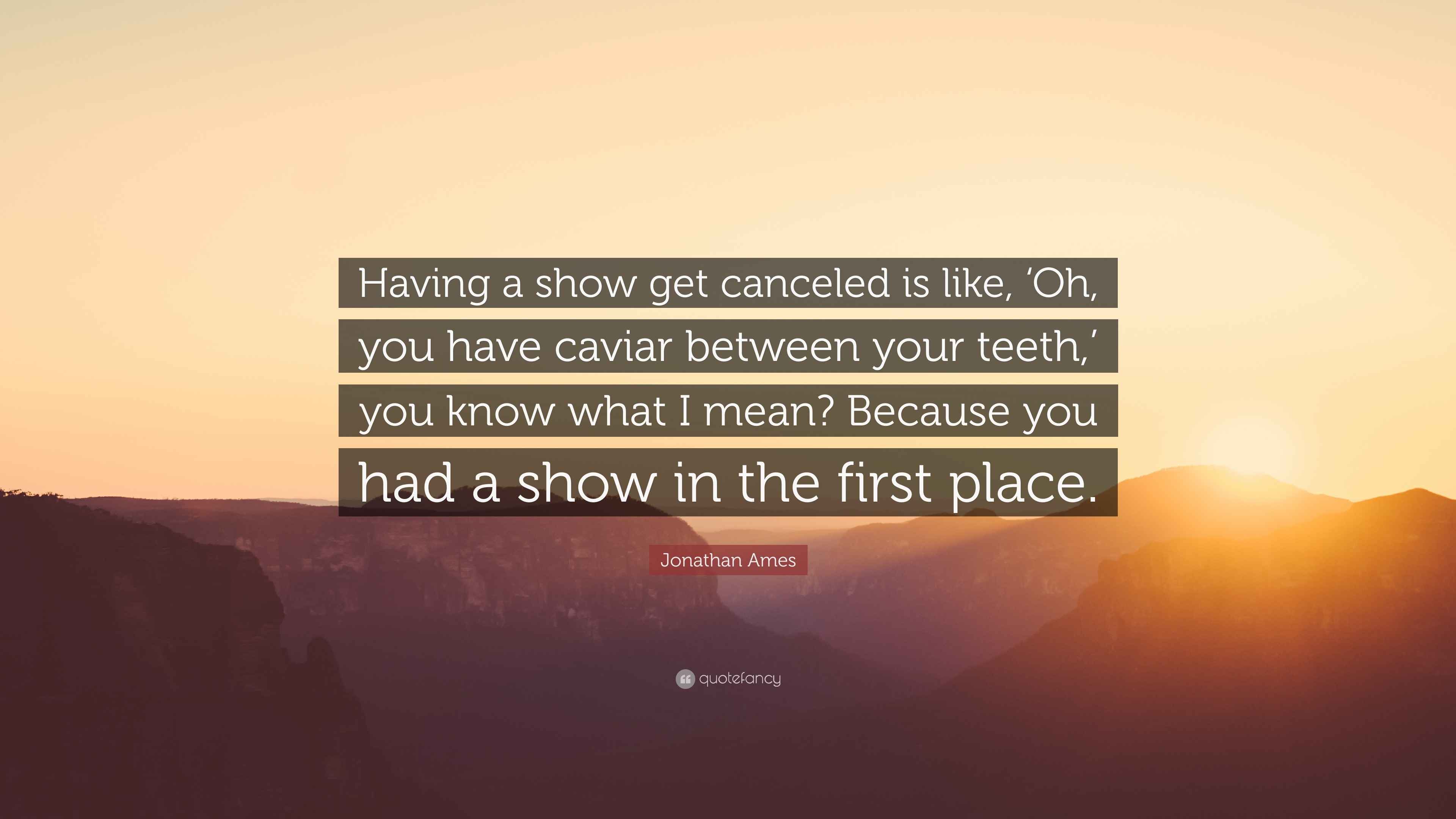 Jonathan Ames Quote: “Having a show get canceled is like, ‘Oh, you have ...