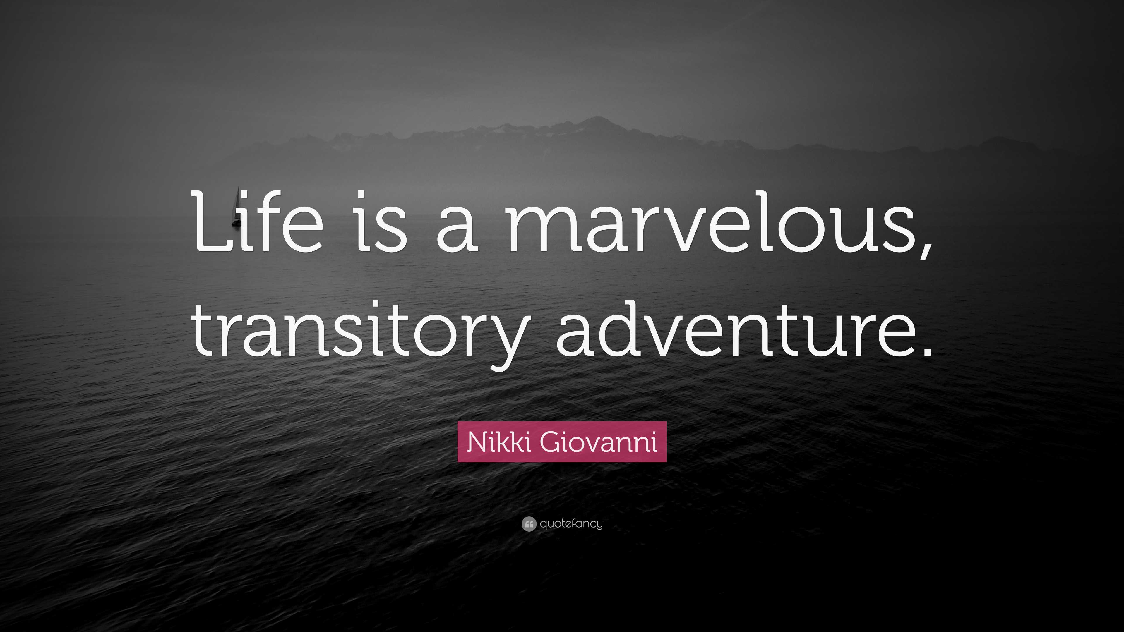 Nikki Giovanni Quote: “Life is a marvelous, transitory adventure.”