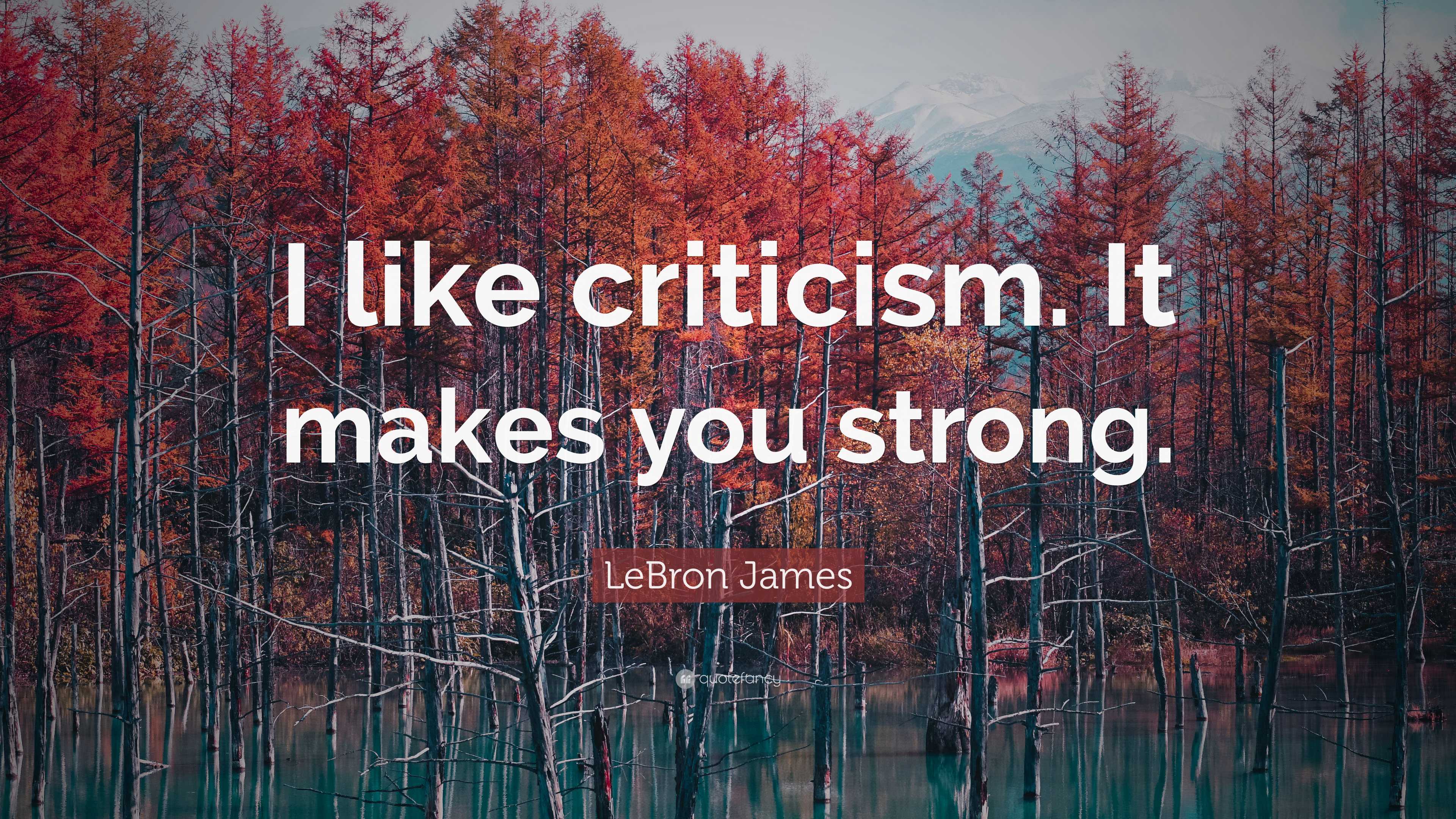 LeBron James Quote: “I like criticism. It makes you strong.”