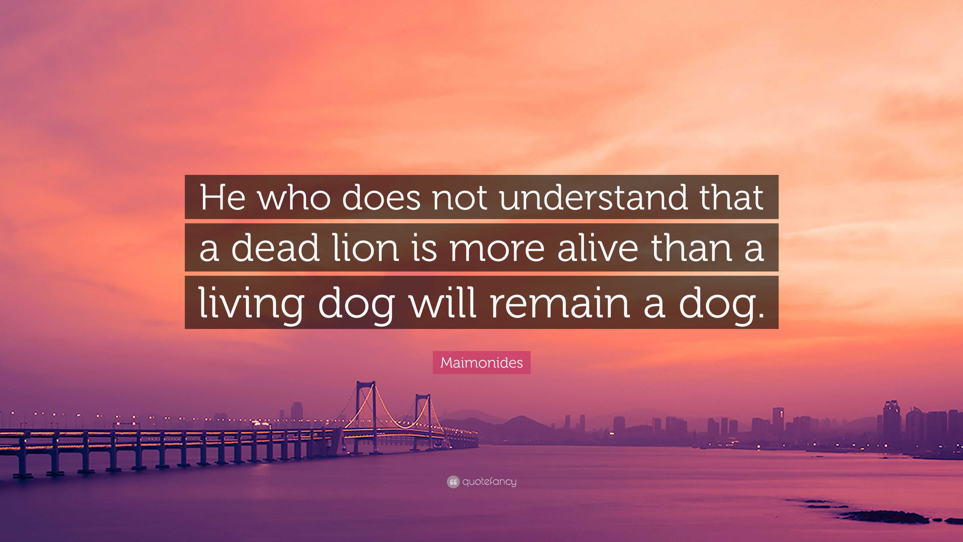 Dead Lion Quotes DrAdarsha Gowda | Scarface (2007 2021): The Legendary