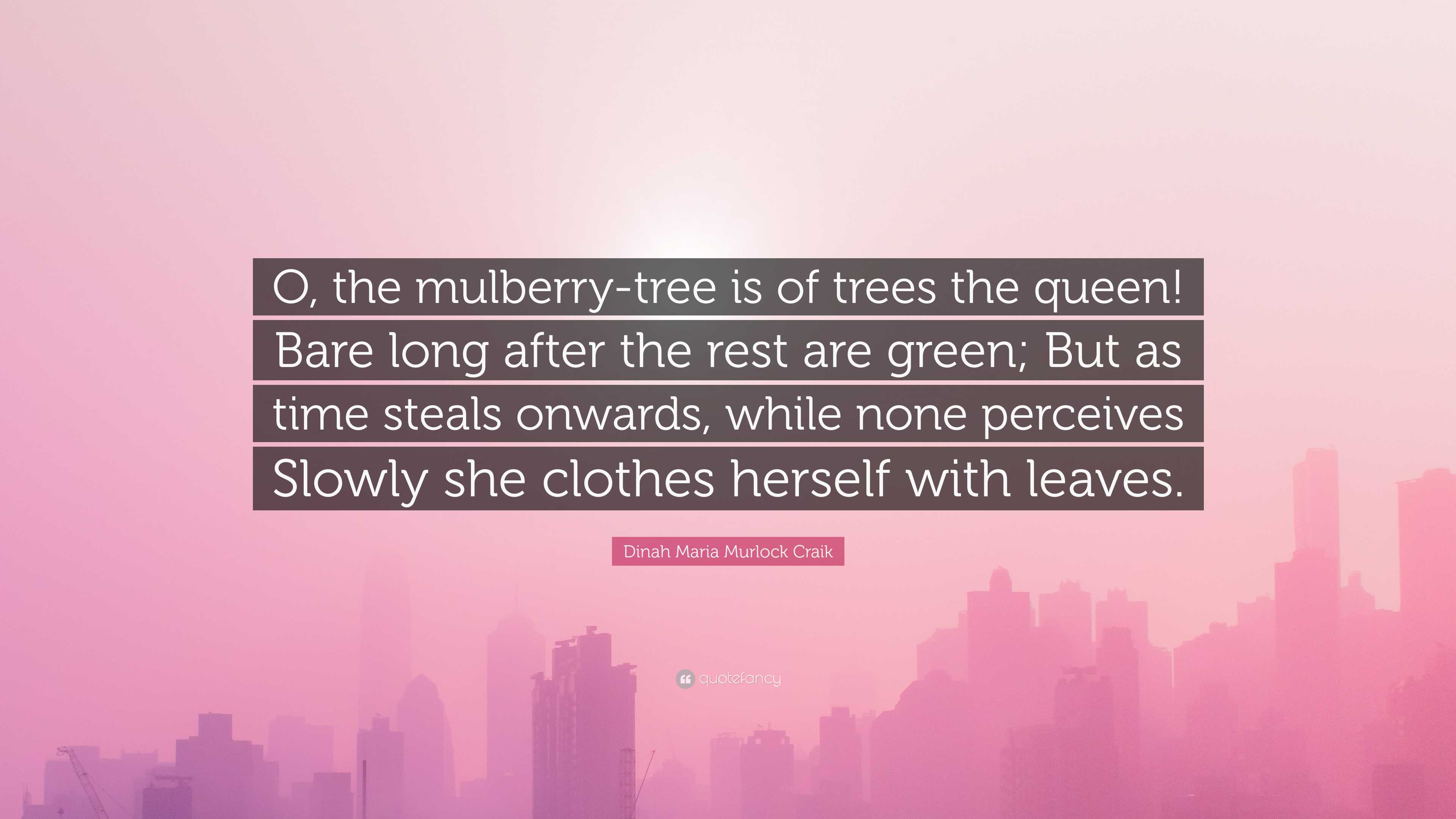 Mulberry Tree Quotes What Can I Make Out Of A Mulberry Tree?