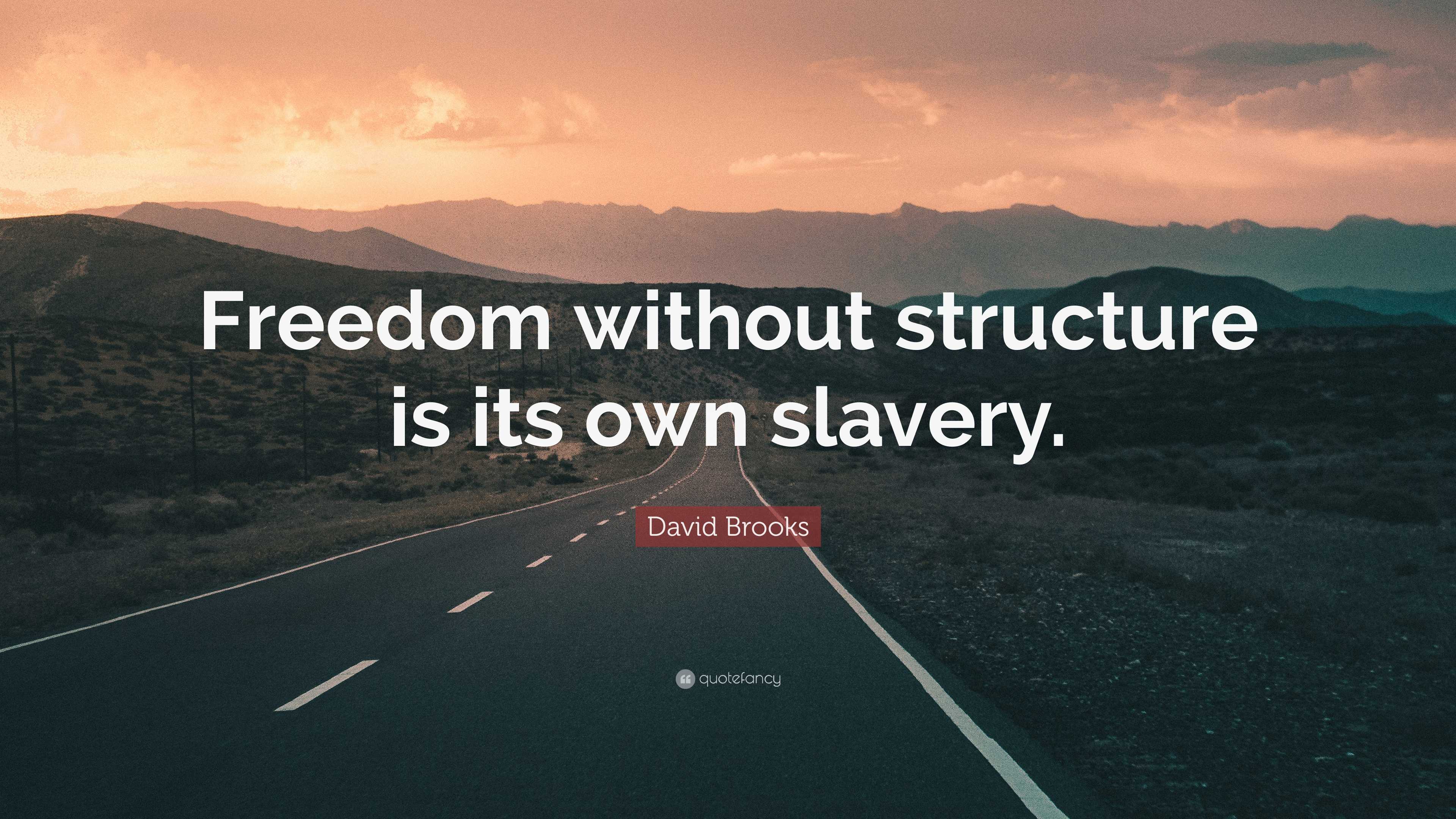David Brooks Quote: “Freedom without structure is its own slavery.”